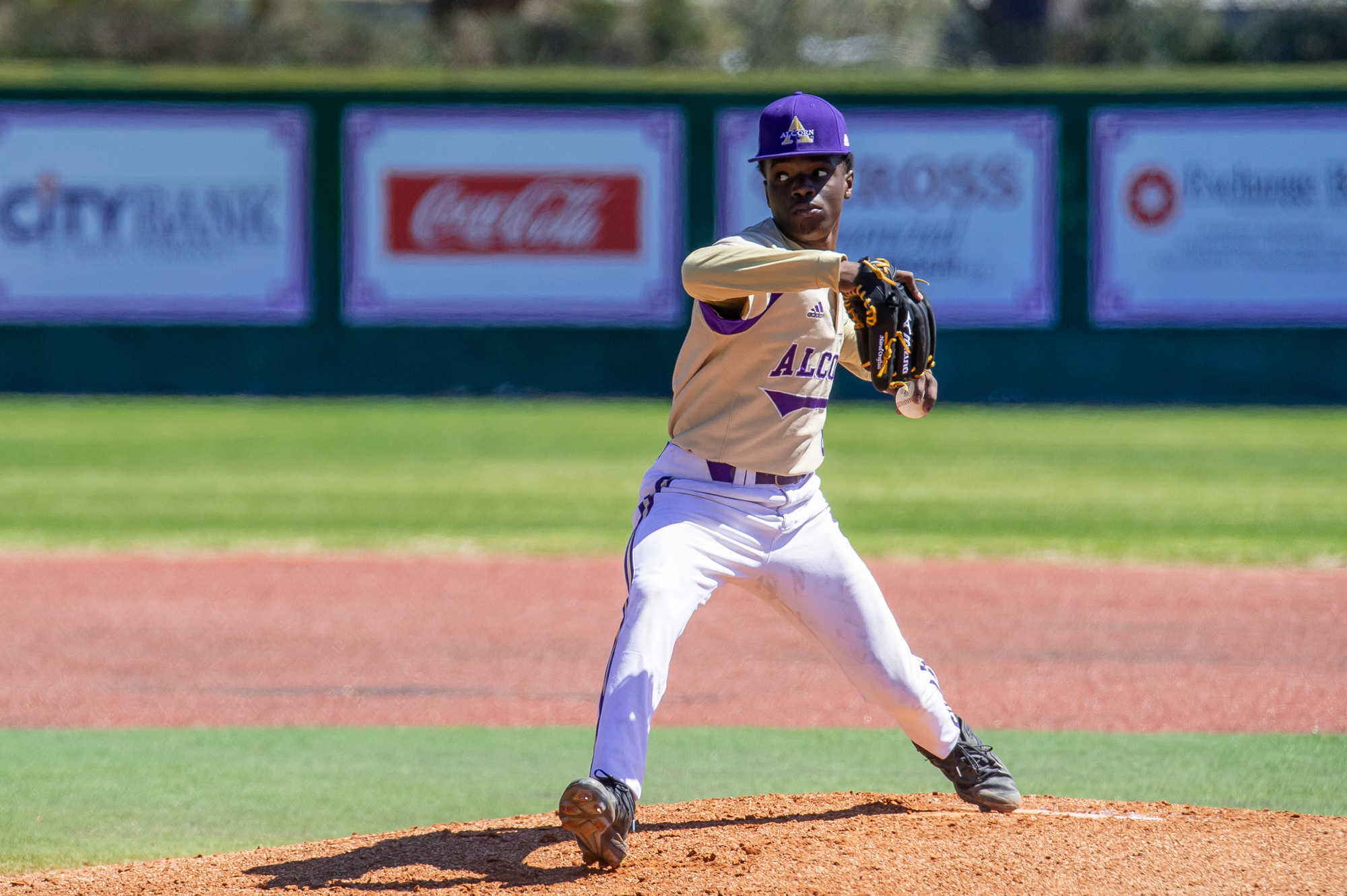 2025 Baseball Schedule - Alcorn State University Athletics