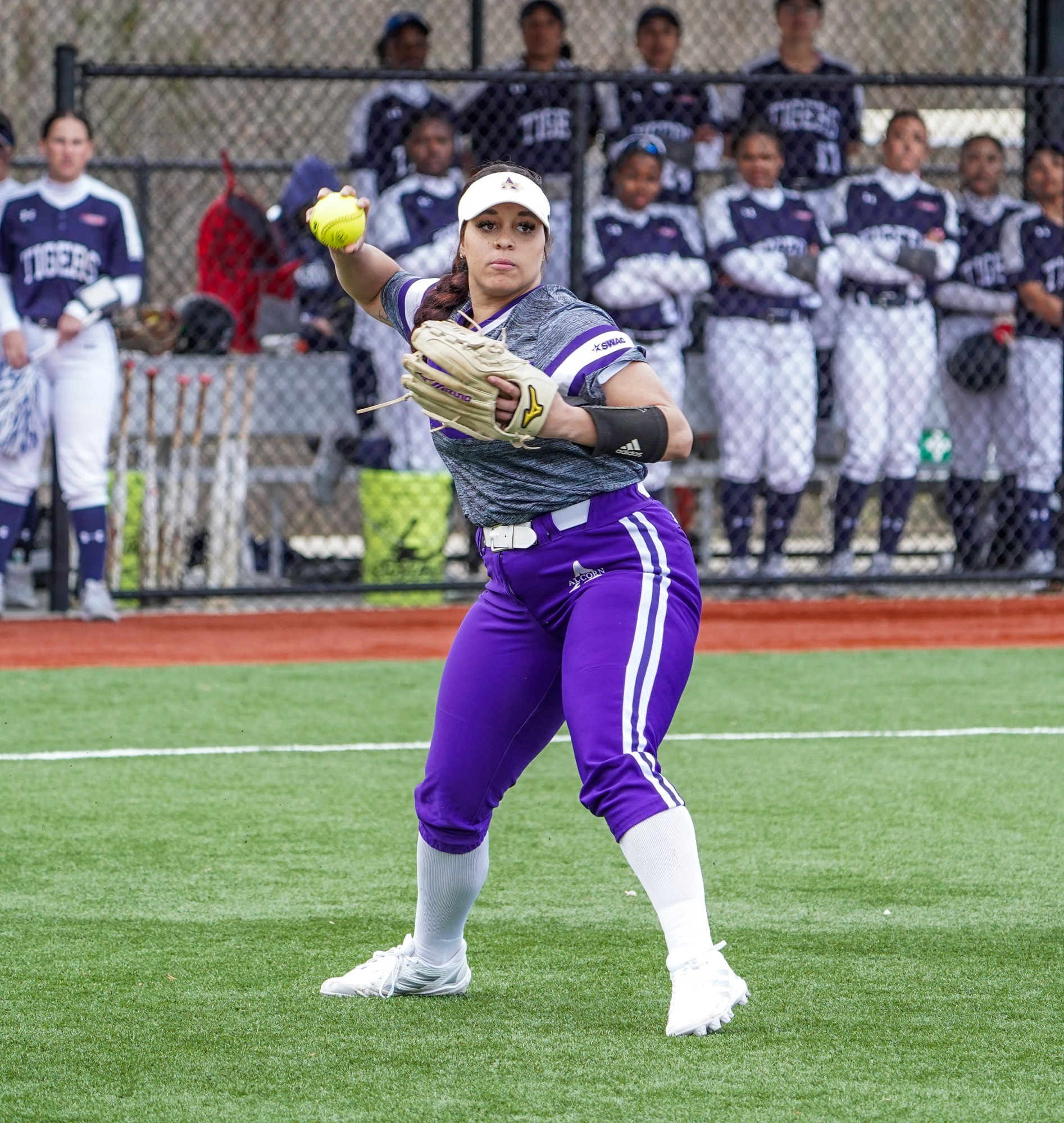 Softball Splits the Doubleheader, Takes UAPB Series - Alcorn State ...