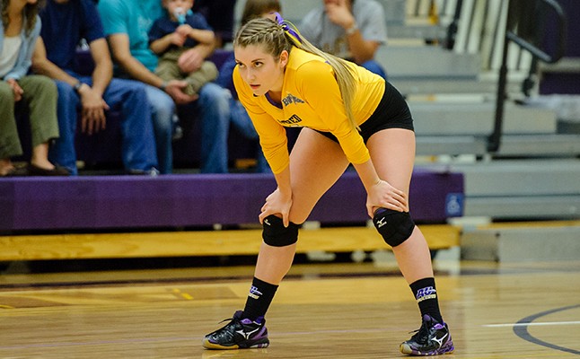 Valerie Cardillo - Women's Volleyball - Alfred University Athletics