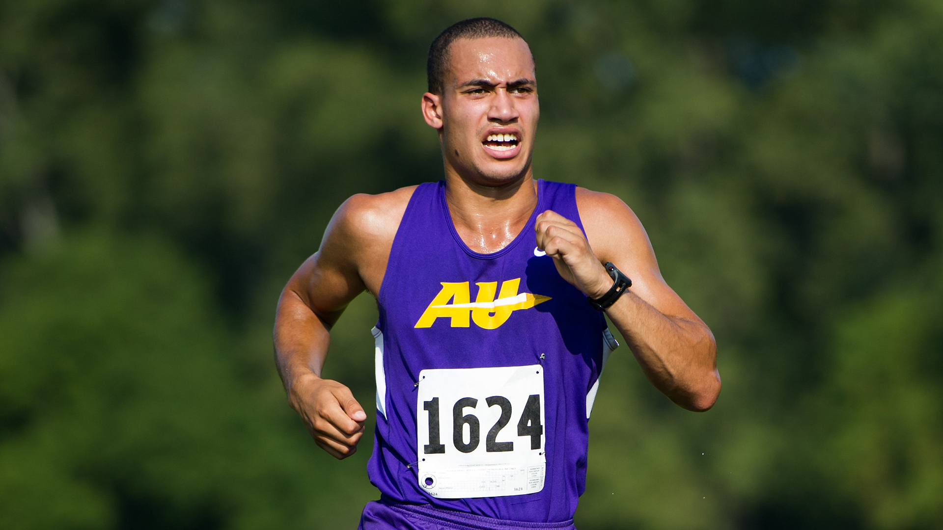 Kyle Gallo - Men's Cross Country - Alfred University Athletics