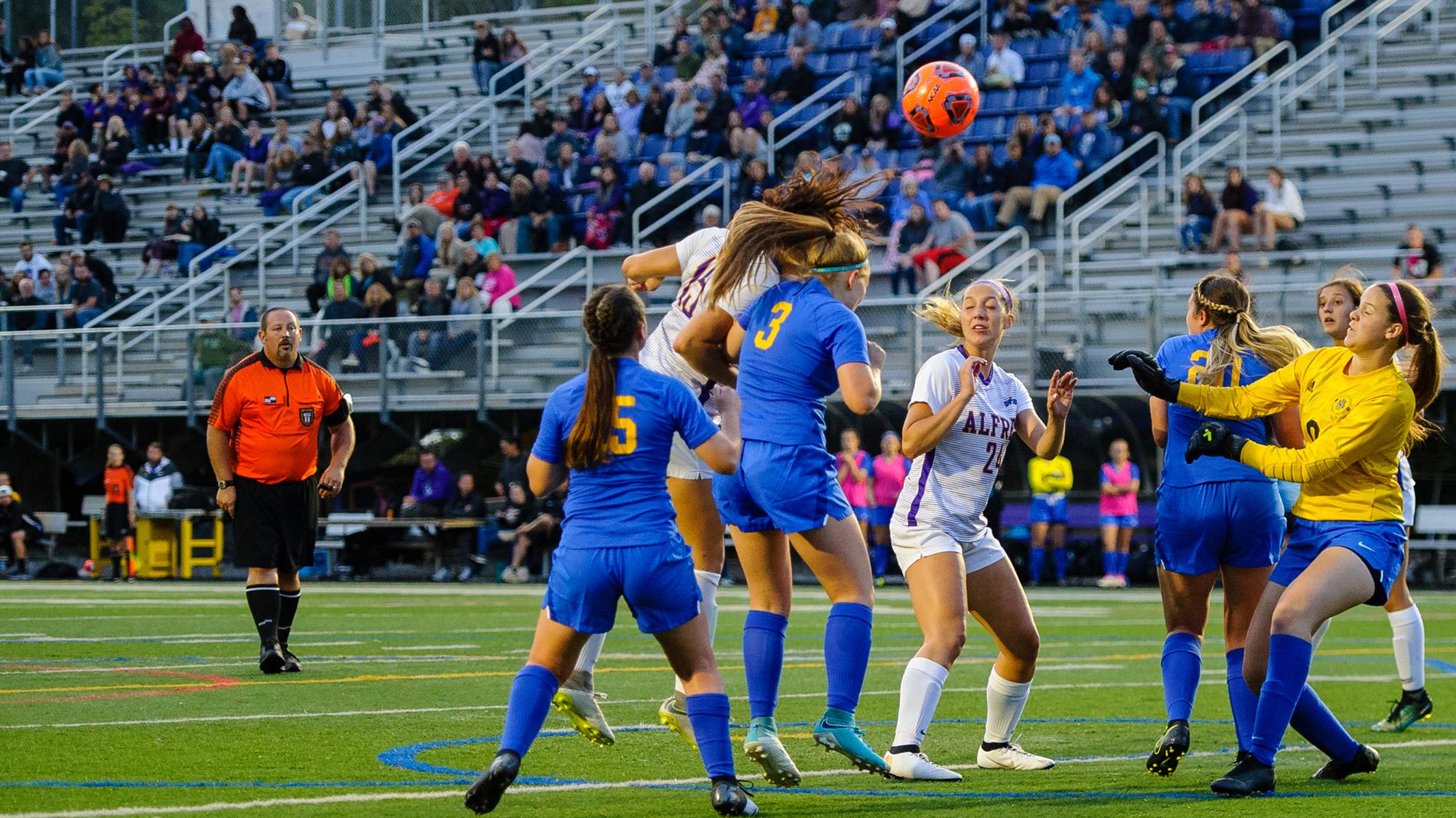 Amanda Guariglia - Women's Soccer - Alfred University Athletics
