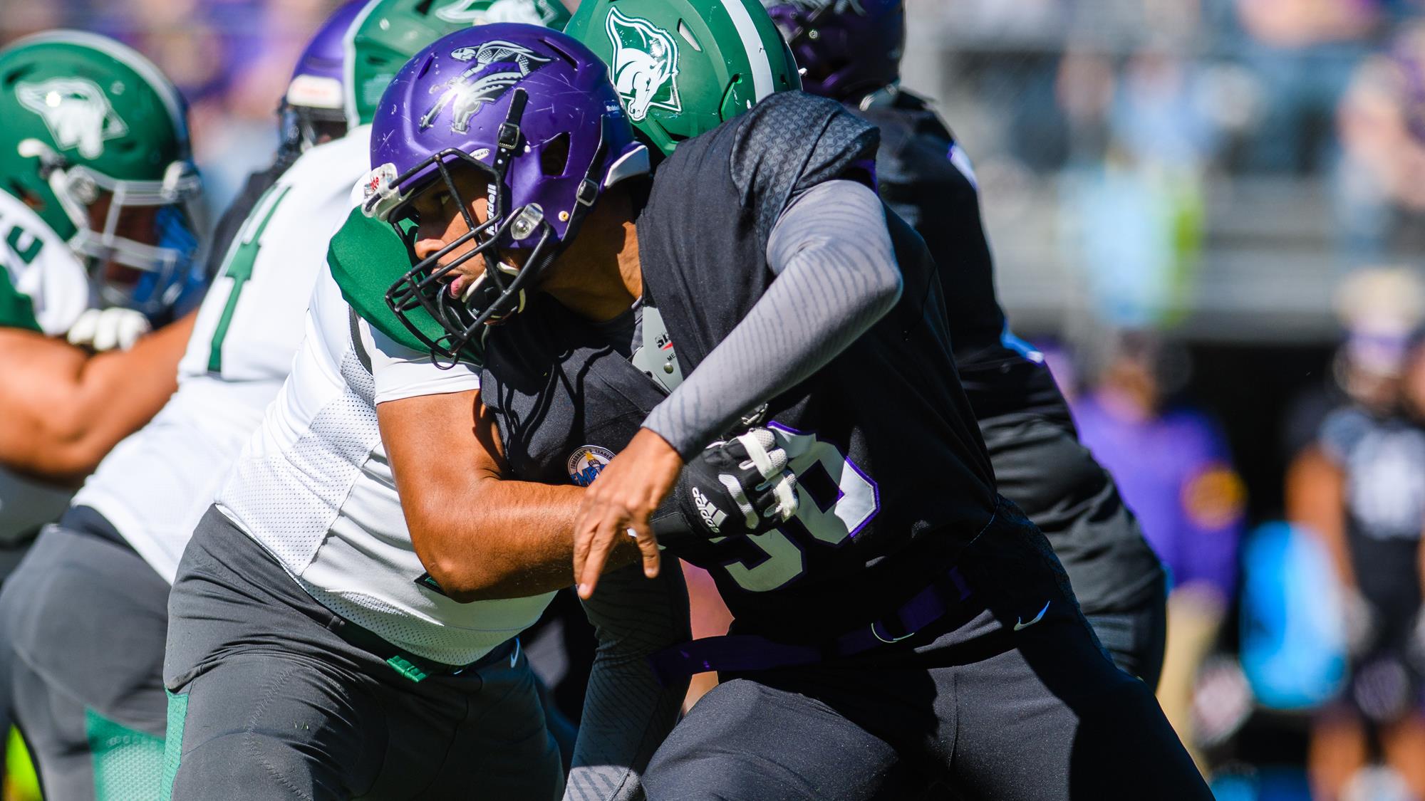 Rodney Bailey - Football - Alfred University Athletics