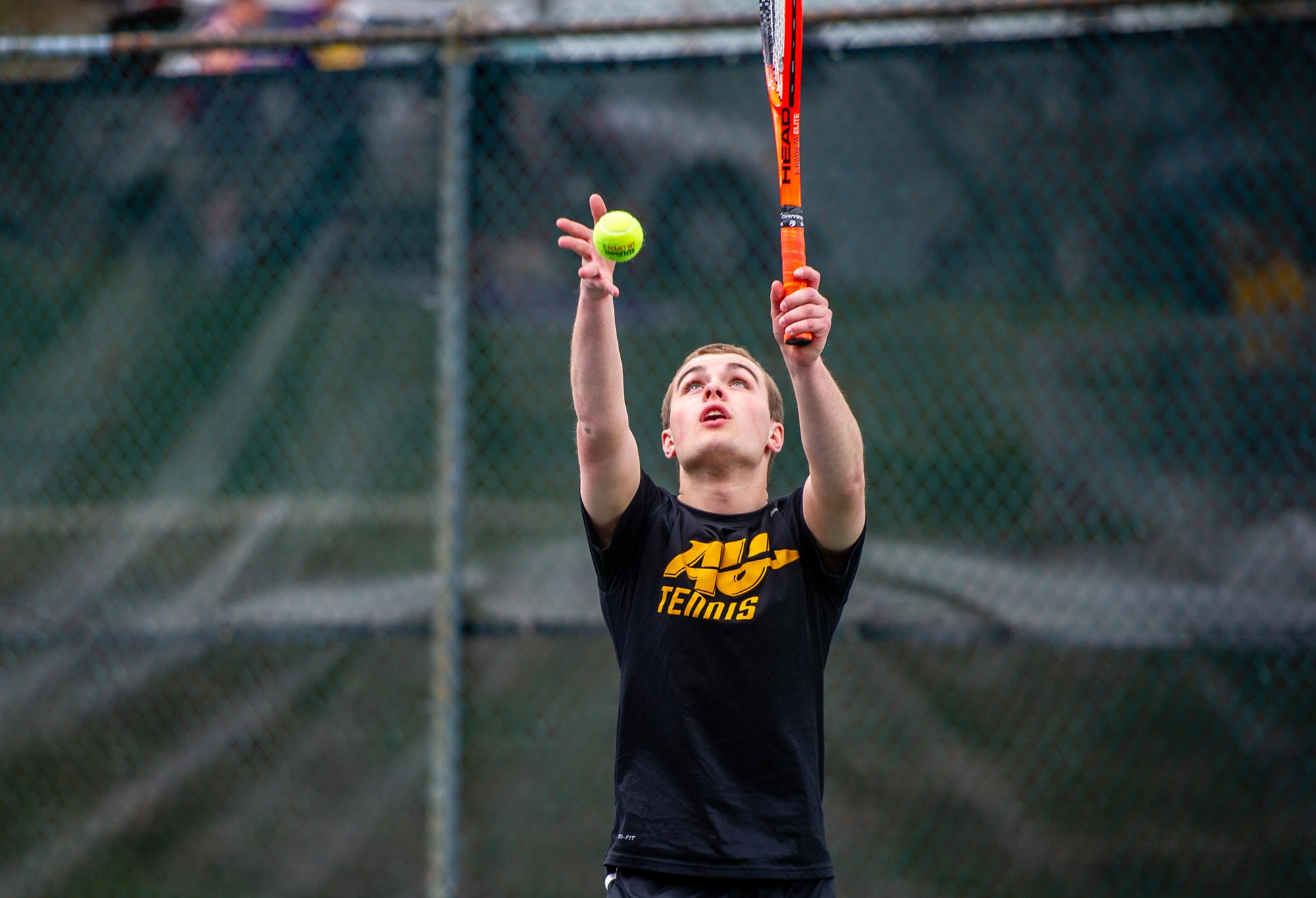 Adam Shearer - Men's Tennis - Alfred University Athletics