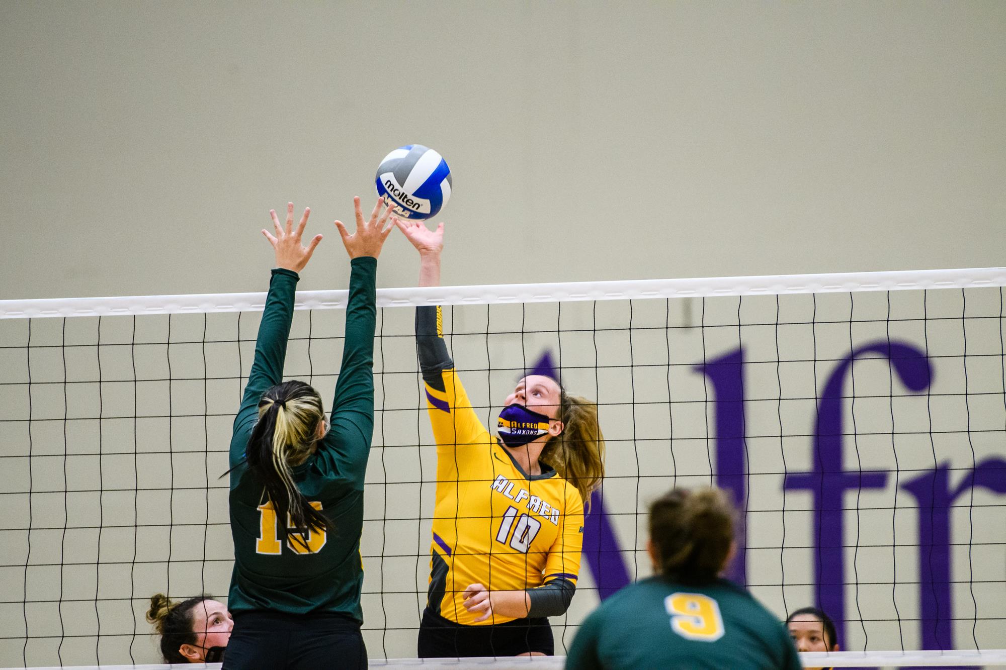 Fiona McNeil - Women's Volleyball - Alfred University Athletics