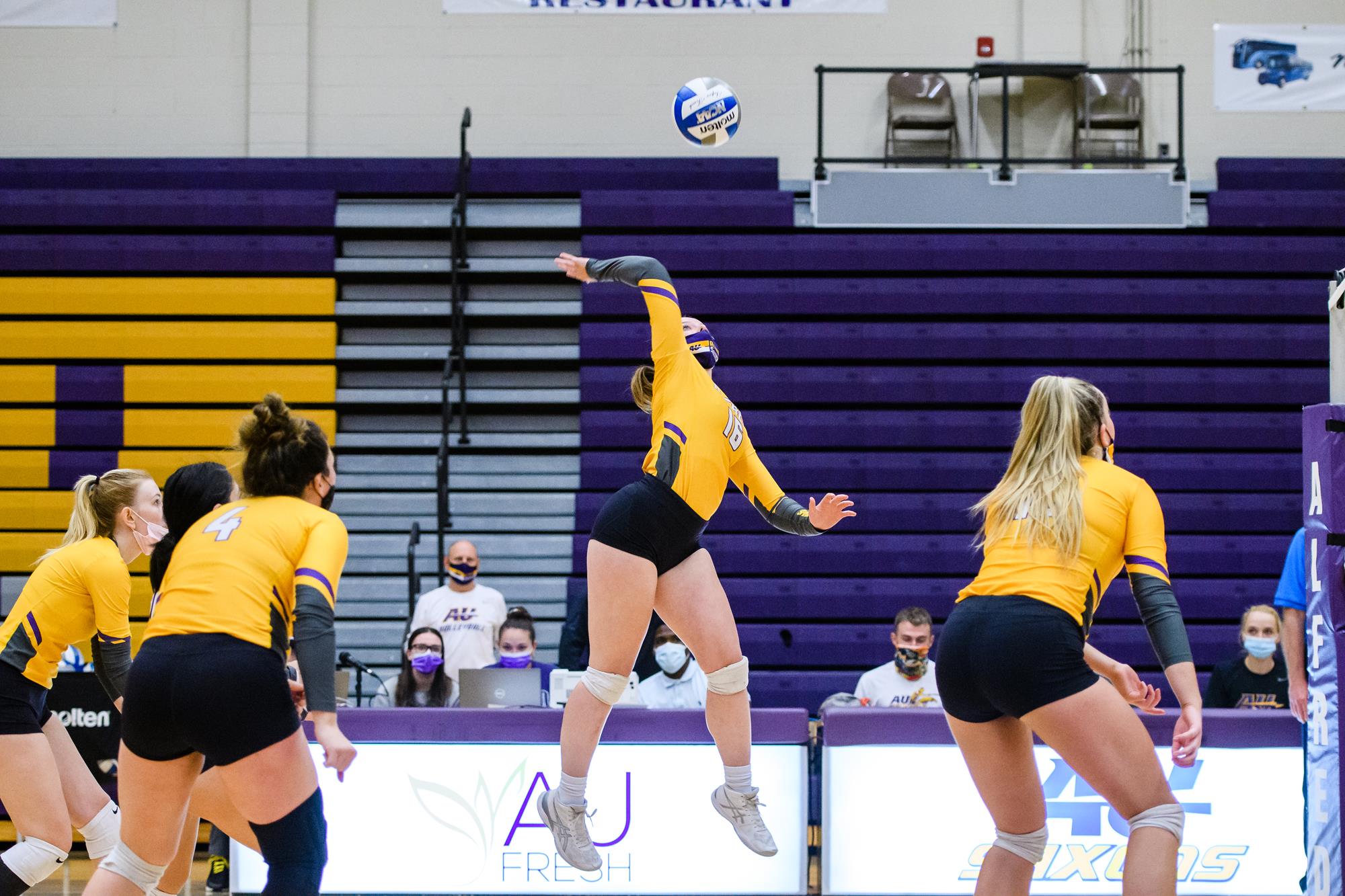 MyKayla Deyarmin - Women's Volleyball - Alfred University Athletics