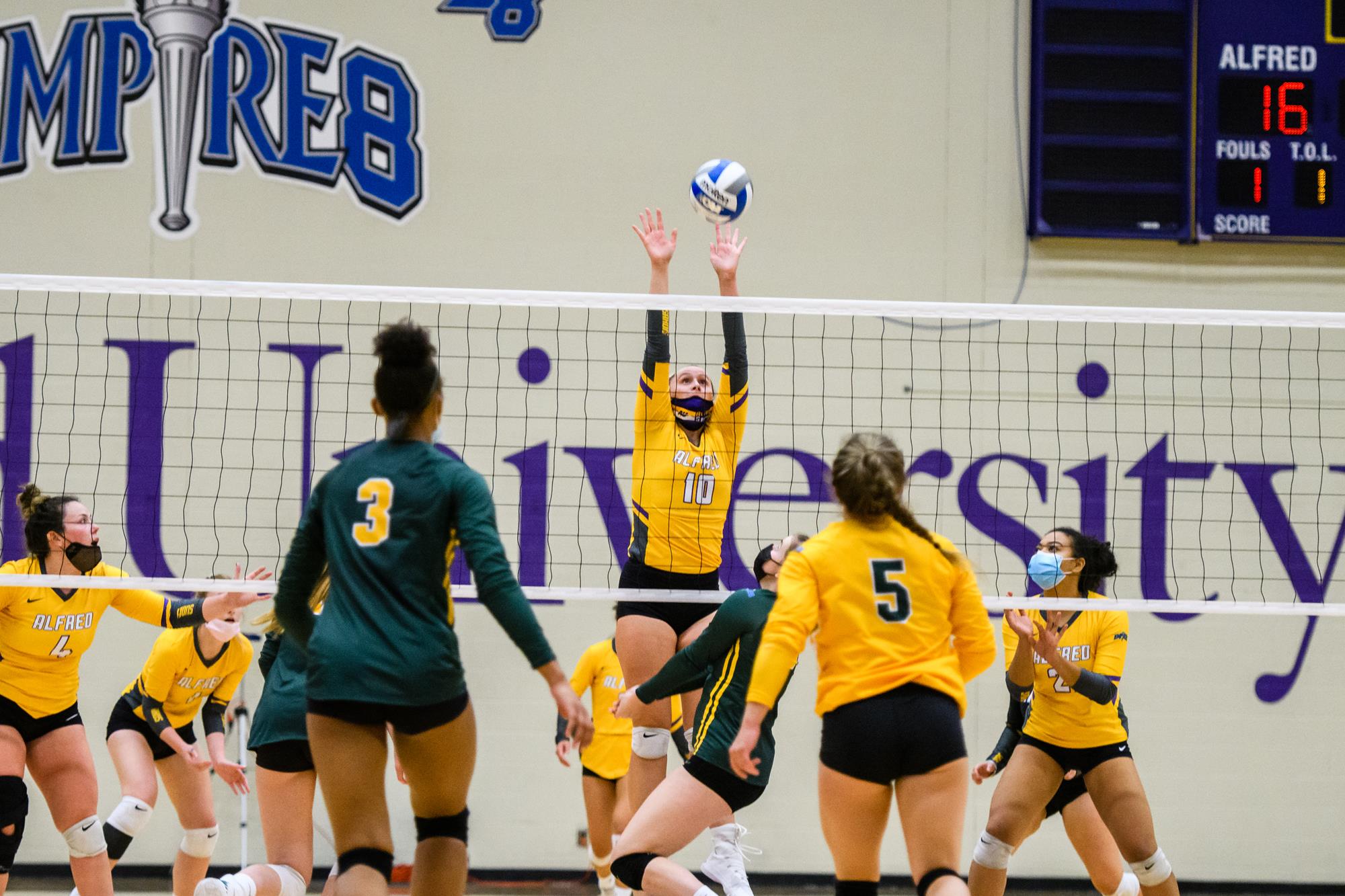 Fiona McNeil - Women's Volleyball - Alfred University Athletics