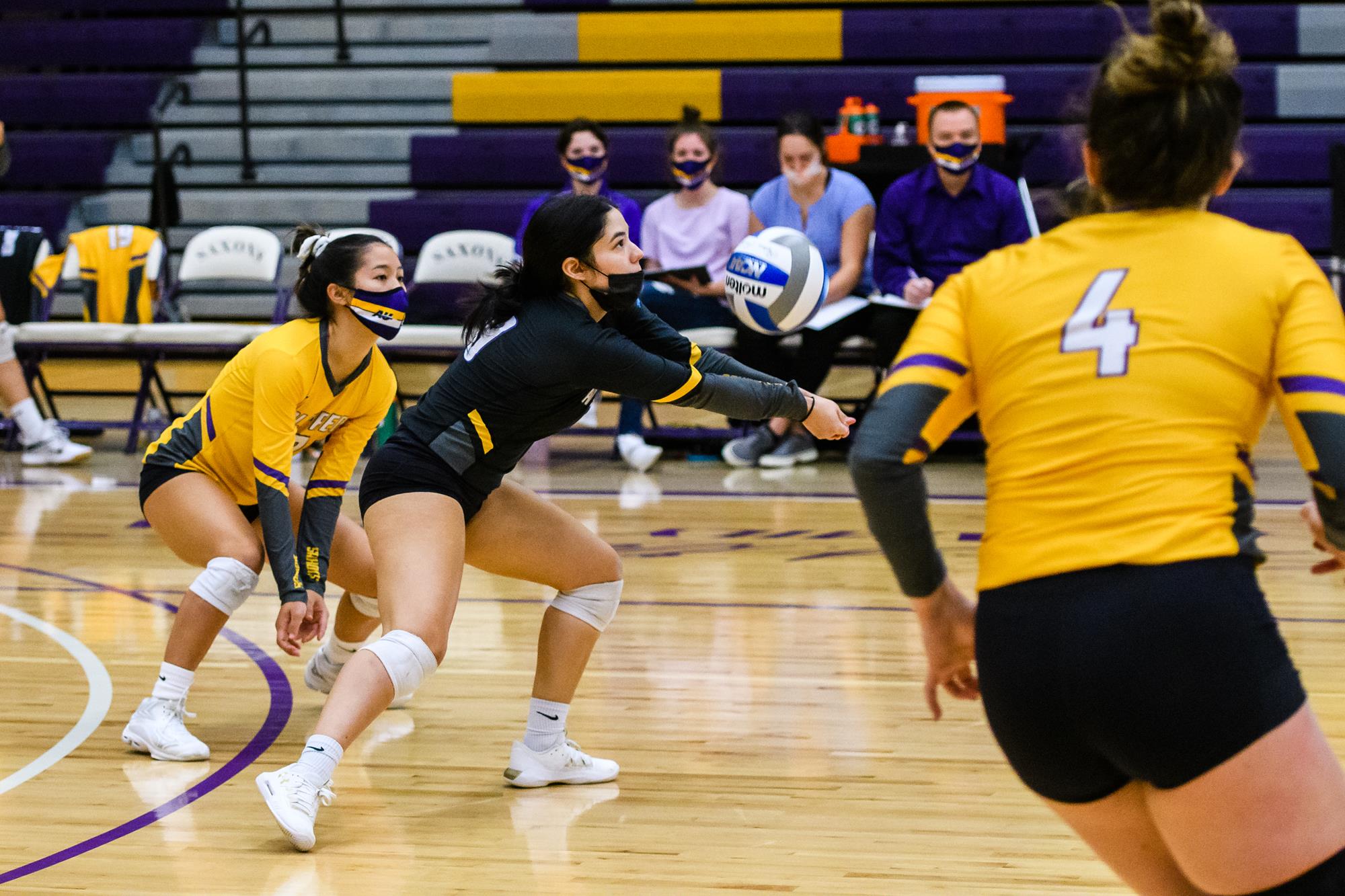 Darian Ortiz - Women's Volleyball - Alfred University Athletics