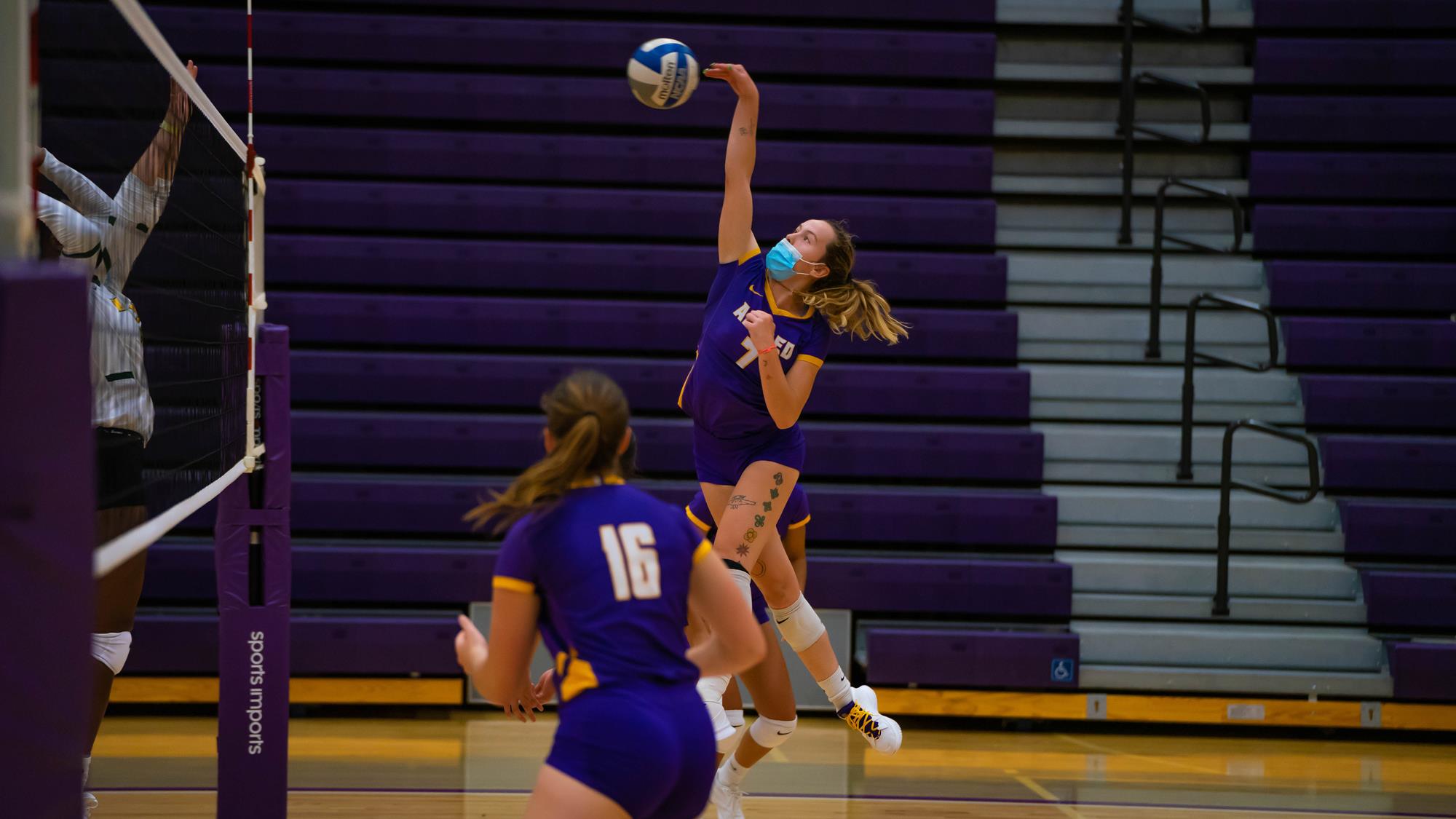 Kayle Hatfield - Women's Volleyball - Alfred University Athletics