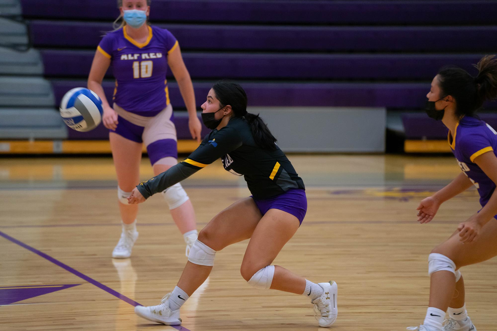 Darian Ortiz - Women's Volleyball - Alfred University Athletics