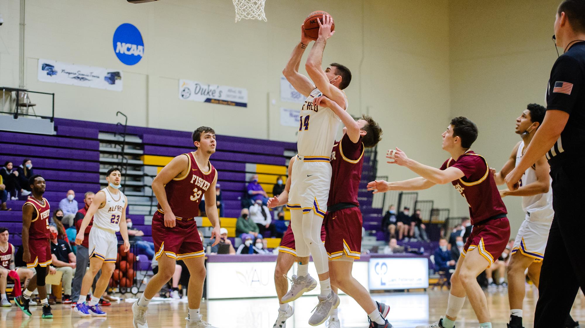 Sam Erickson - Men's Basketball - Alfred University Athletics