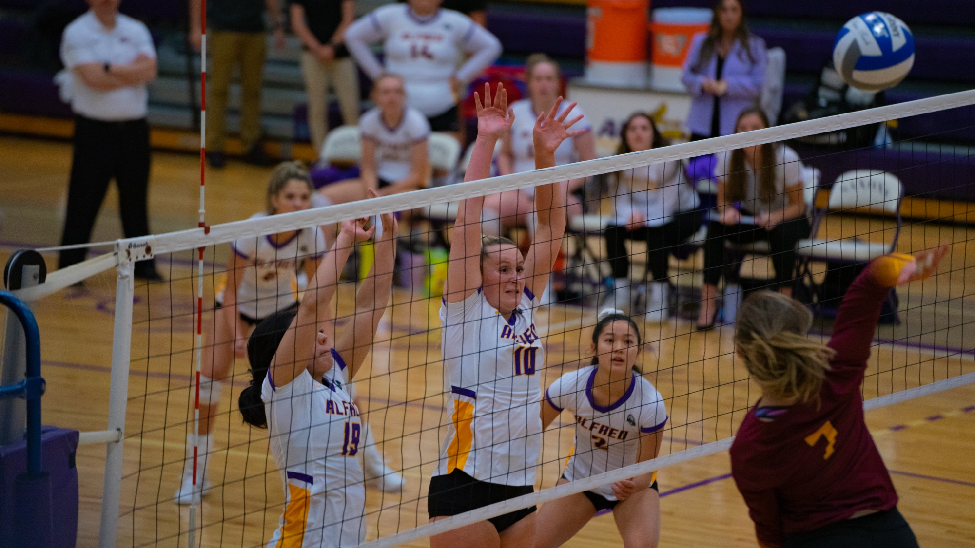 Saxon Volleyball Drops E8 Contest to Fisher, 3-0 - Alfred University ...