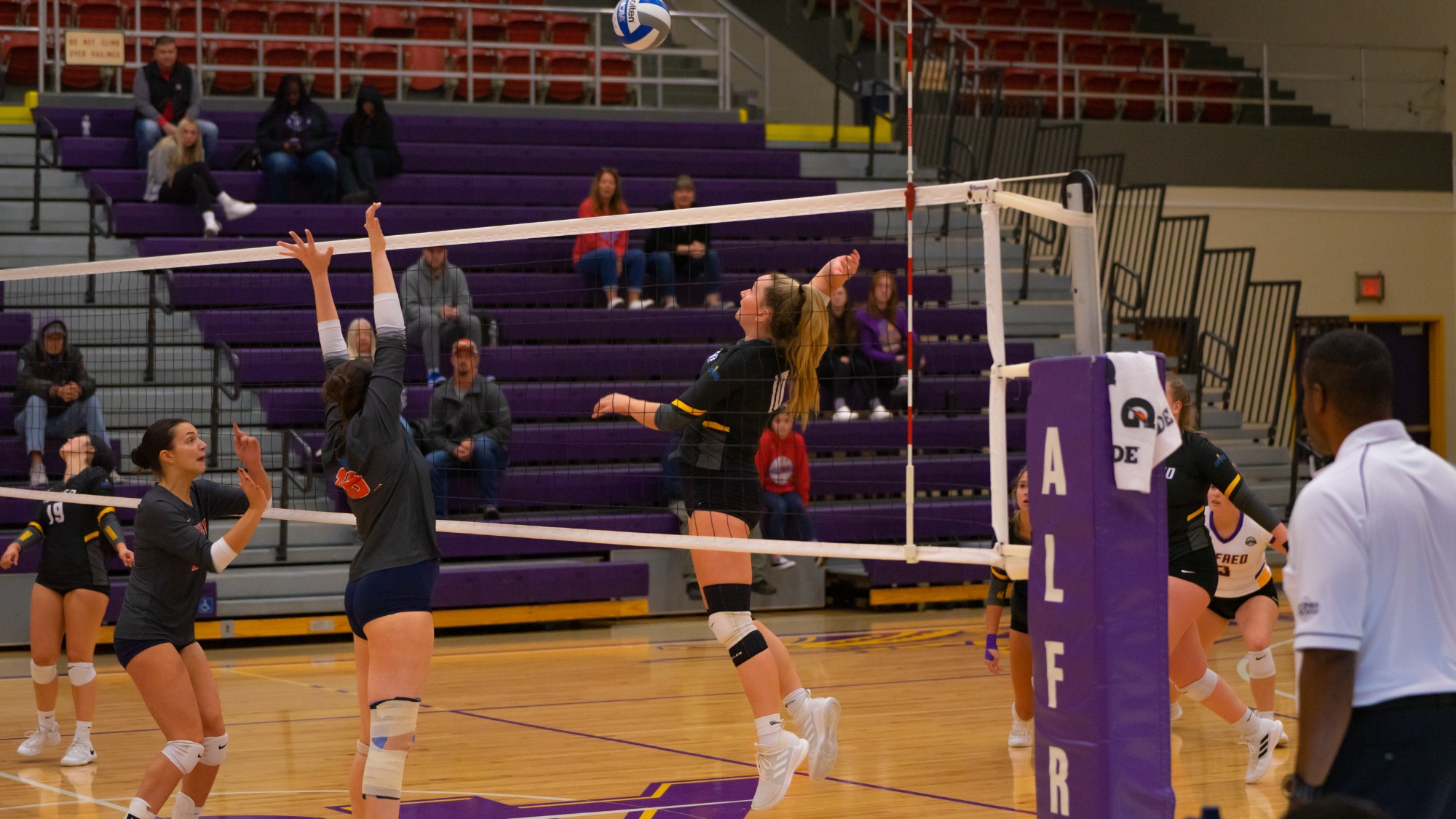 Fiona McNeil - Women's Volleyball - Alfred University Athletics