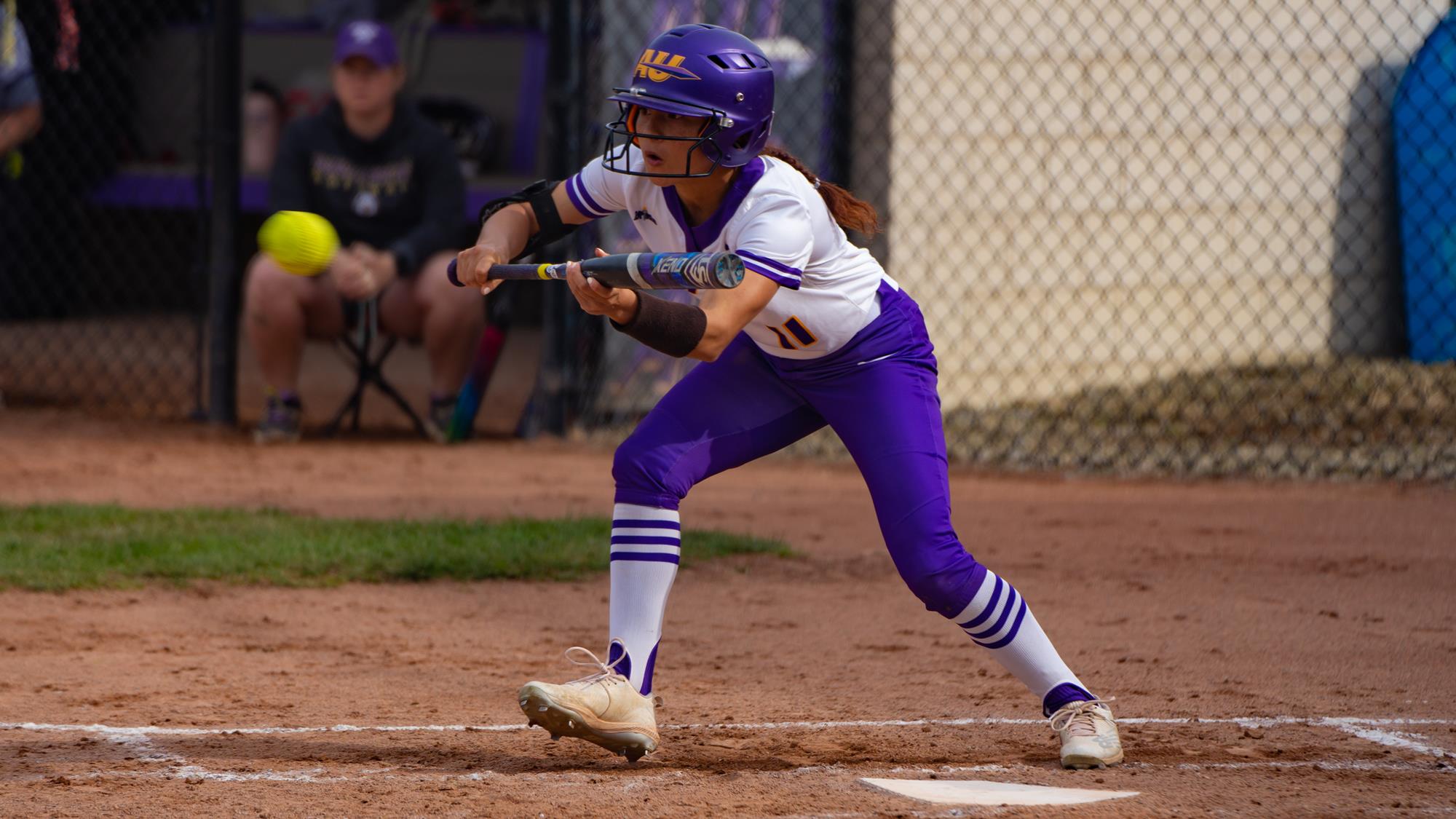 Isabella Carrillo - Softball - Alfred University Athletics