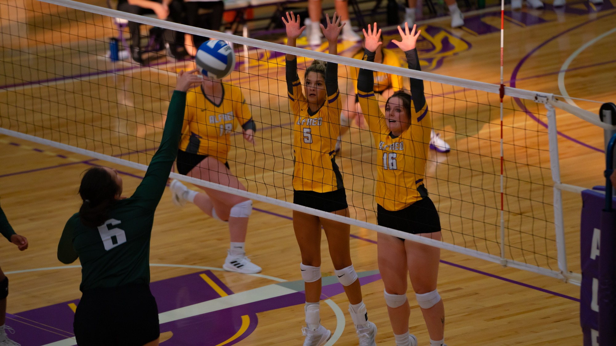 MyKayla Deyarmin - Women's Volleyball - Alfred University Athletics