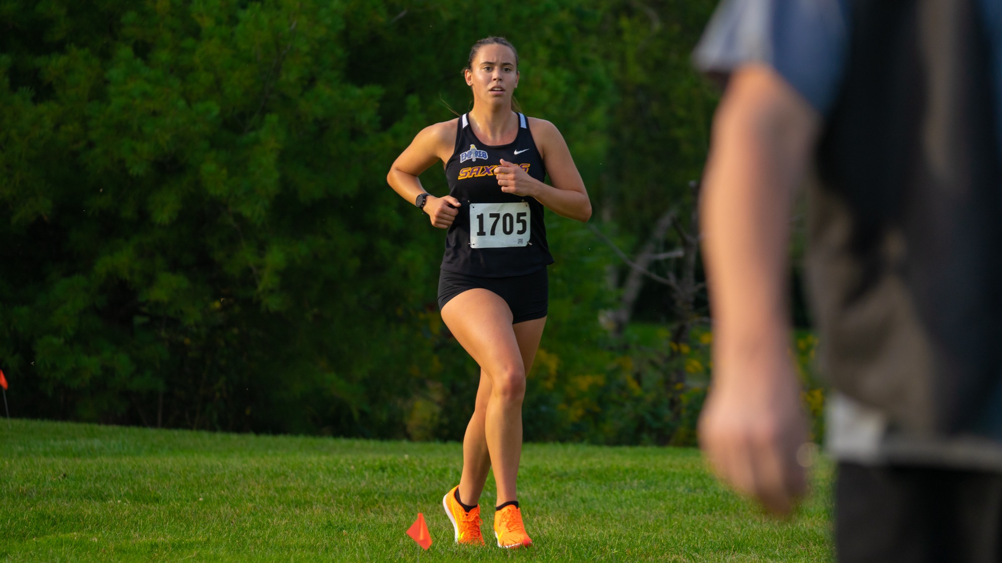 Ashley O'Toole - Women's Cross Country - Alfred University Athletics