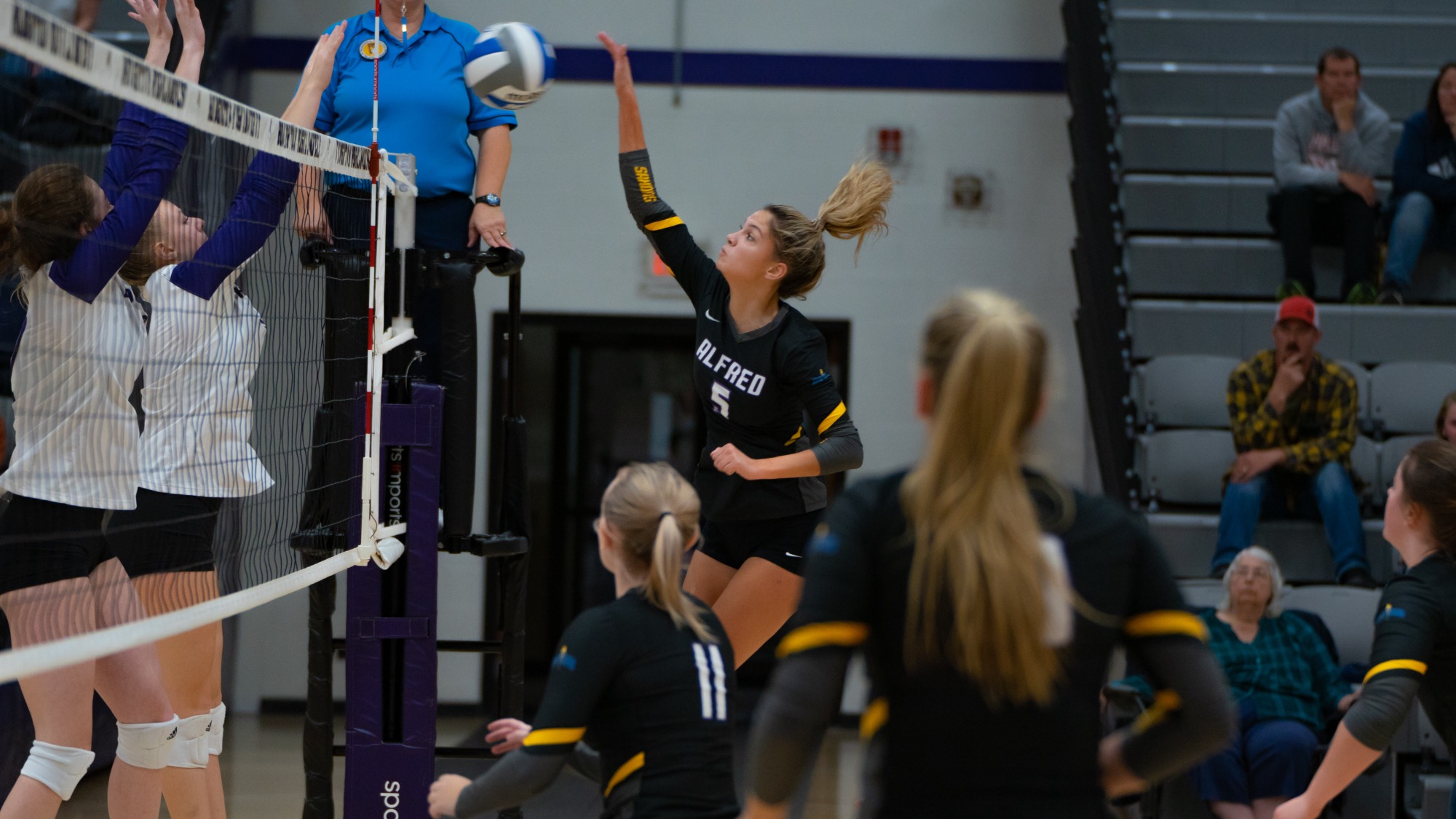 Casey Grange - Women's Volleyball - Alfred University Athletics