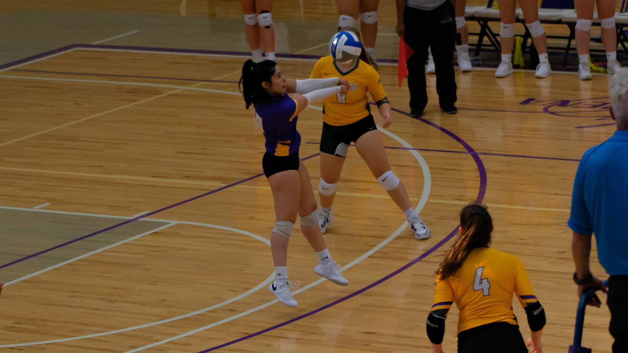 Darian Ortiz - Women's Volleyball - Alfred University Athletics