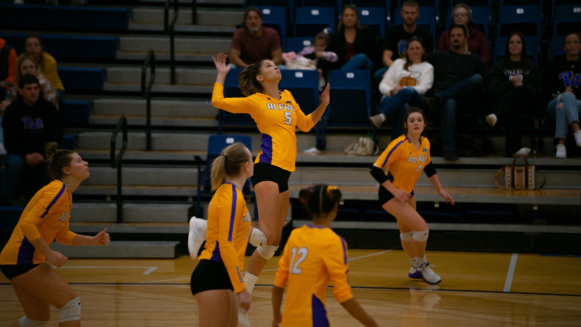 Casey Grange - Women's Volleyball - Alfred University Athletics