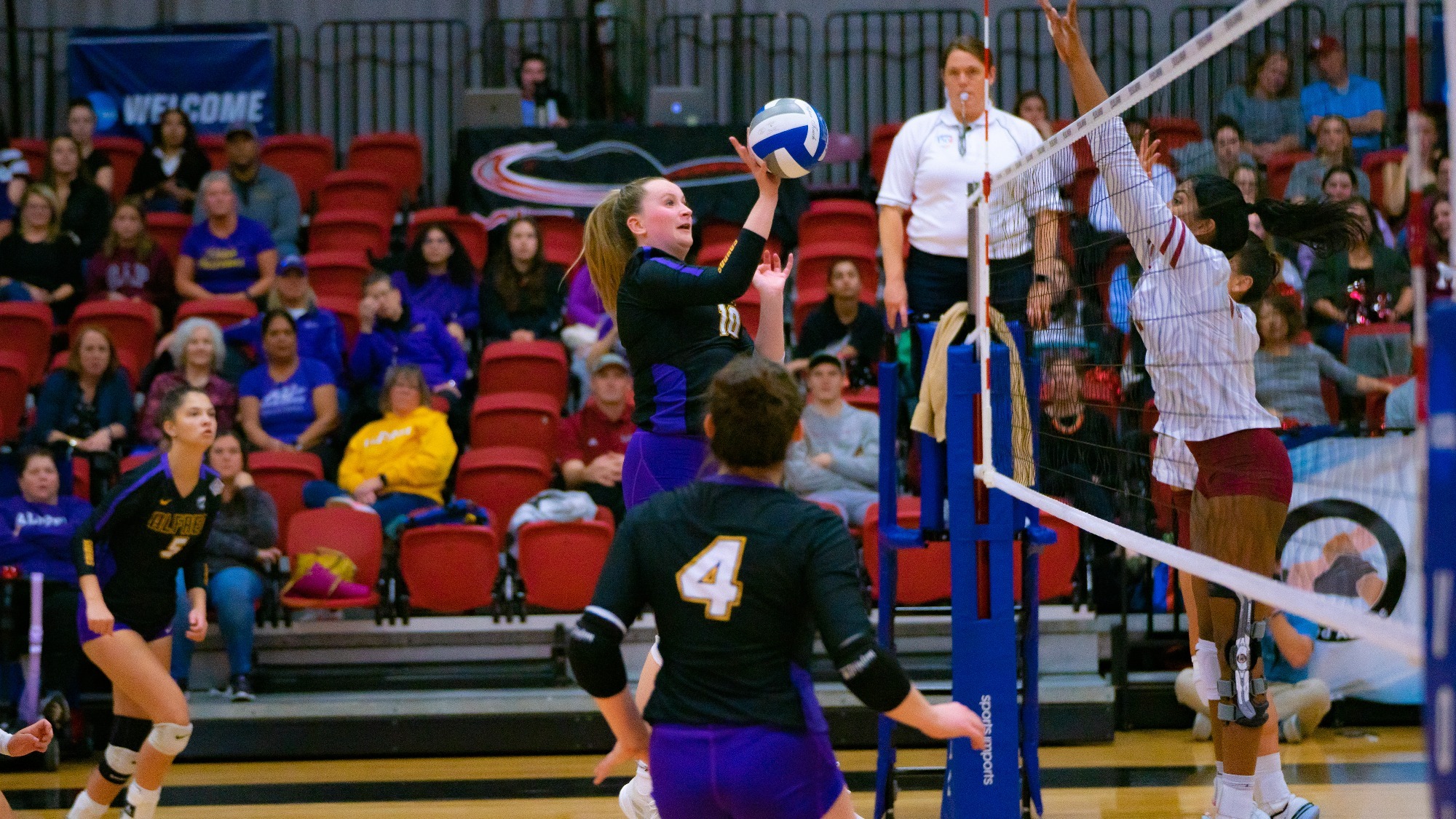 AUVB Ends Historic Season With 3-0 Loss to #19 MIT in NCAA Round One ...