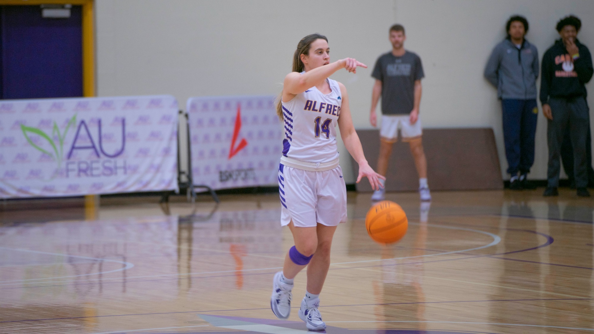 Allison O'Toole - Women's Basketball - Alfred University Athletics