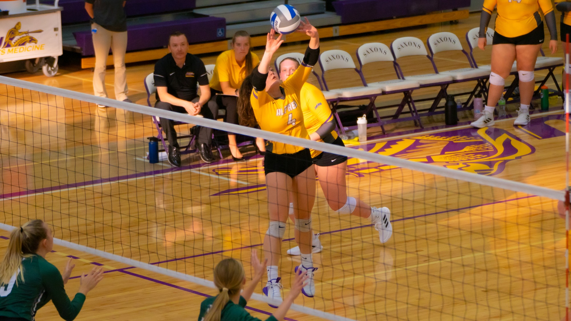 Delaney Sims - Women's Volleyball - Alfred University Athletics