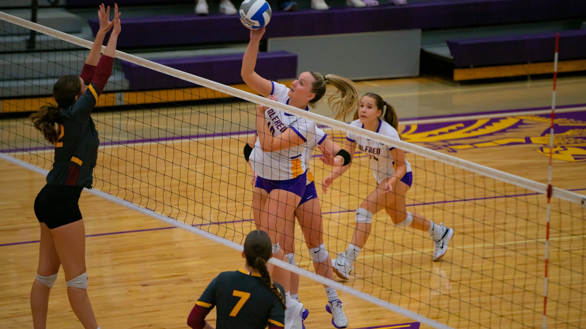 Fiona McNeil - Women's Volleyball - Alfred University Athletics