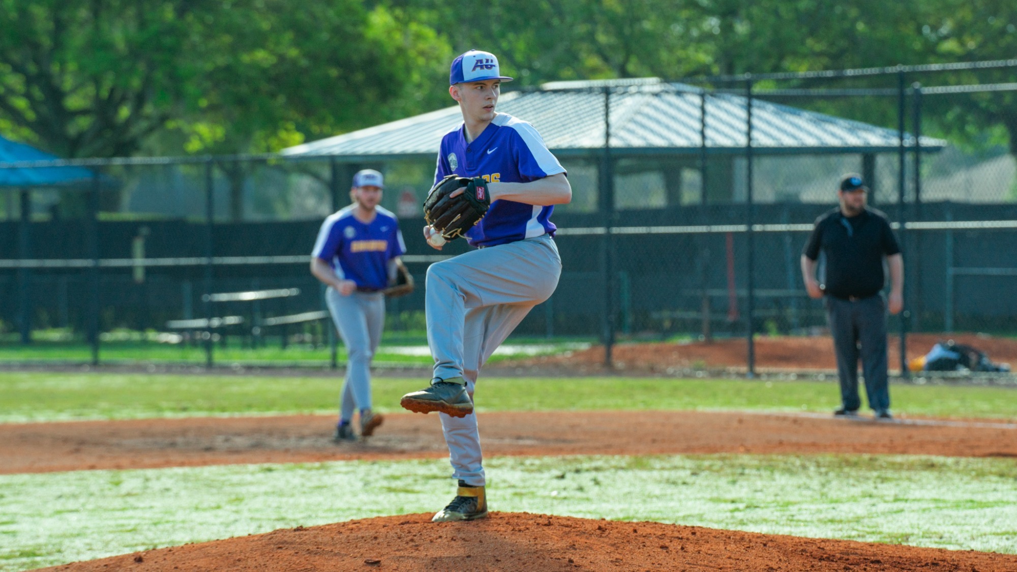 Aaron Buck - Baseball - Alfred University Athletics