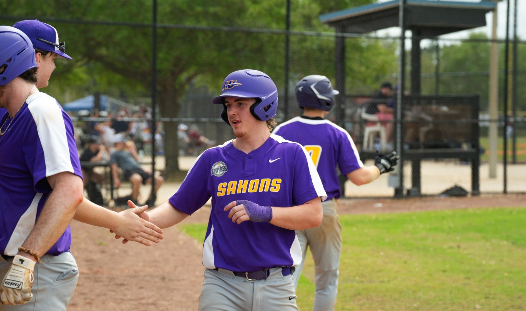 Jaymes Buddenhagen - Baseball - Alfred University Athletics