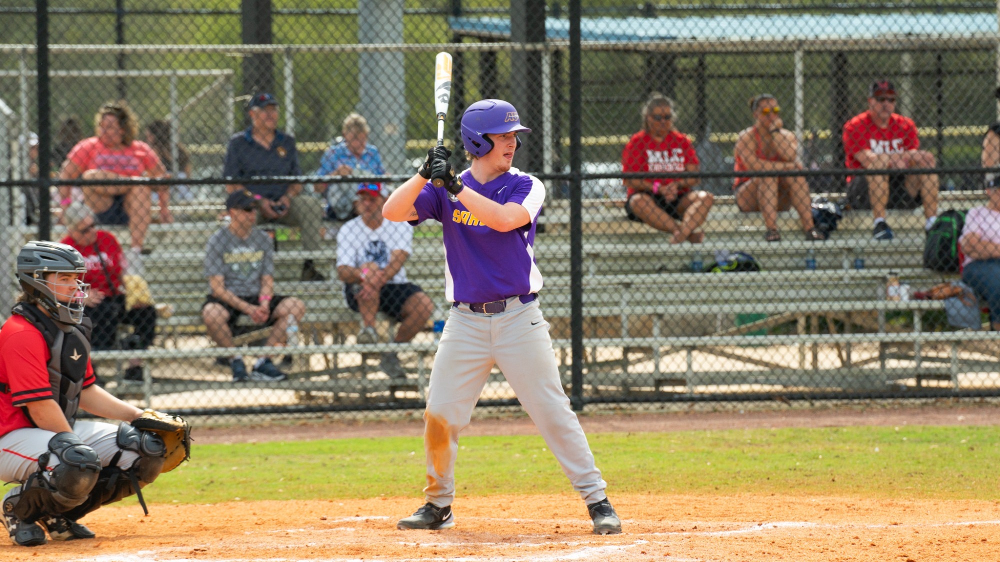 Jaymes Buddenhagen - Baseball - Alfred University Athletics