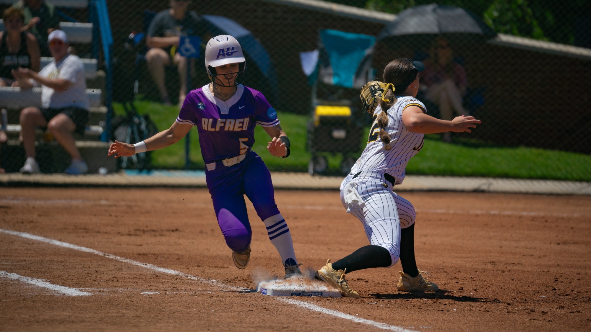 Softball to Compete as No. 2 Seed in E8 Tournament; Ticket Information ...