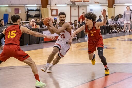 Brandon Dwyer - Men's Basketball - Algoma University Athletics