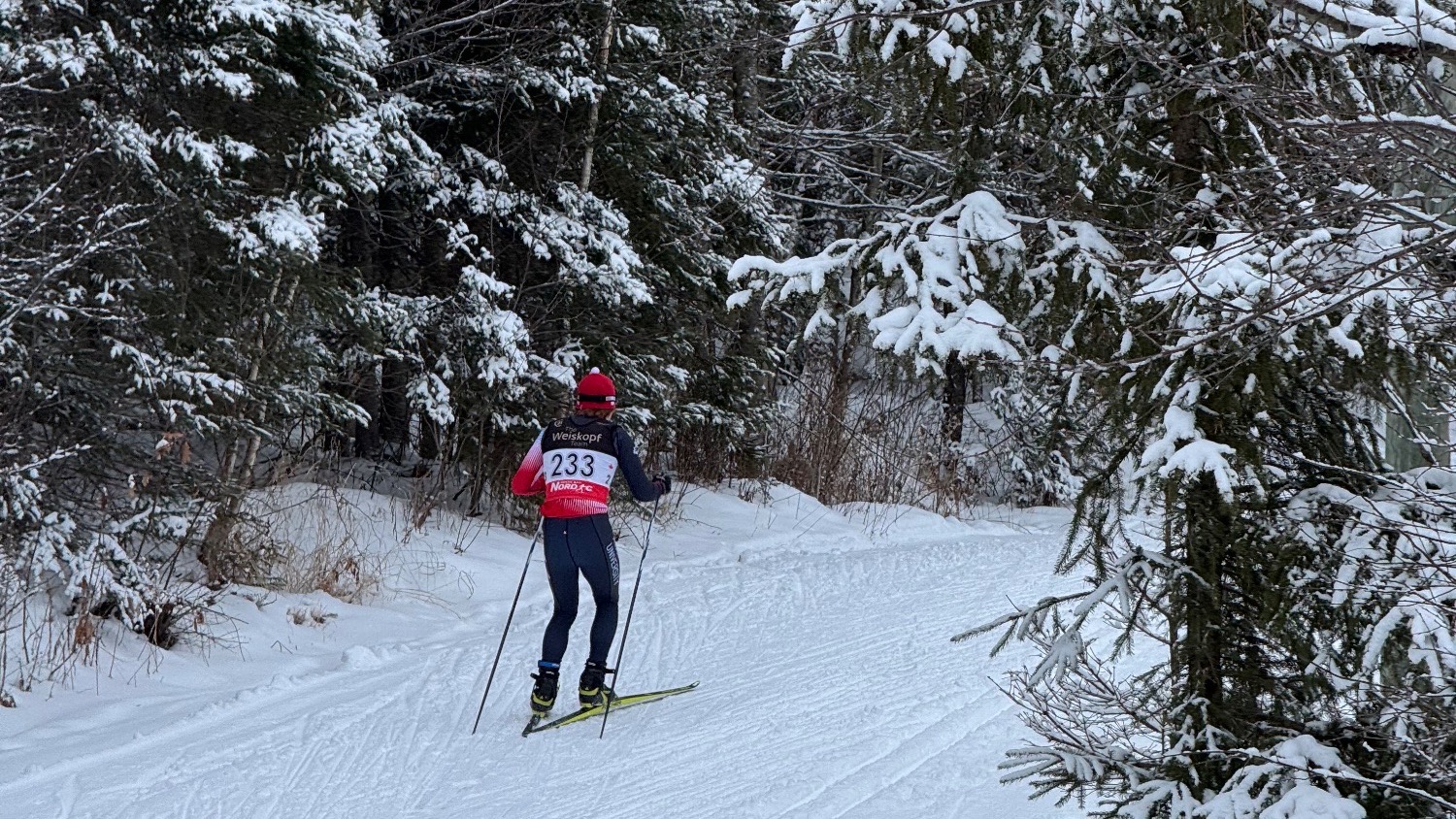 Preview: Algoma Hosts 2025 Nordic Ski Championships - Algoma University ...