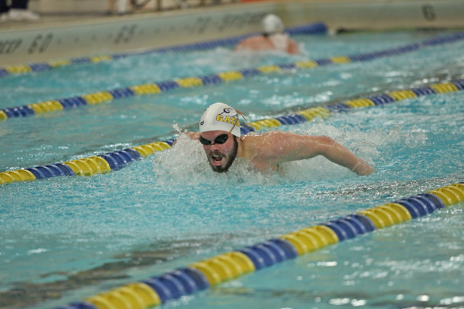 Kevin Crooks - Men's Swimming and Diving - Allegheny College Athletics