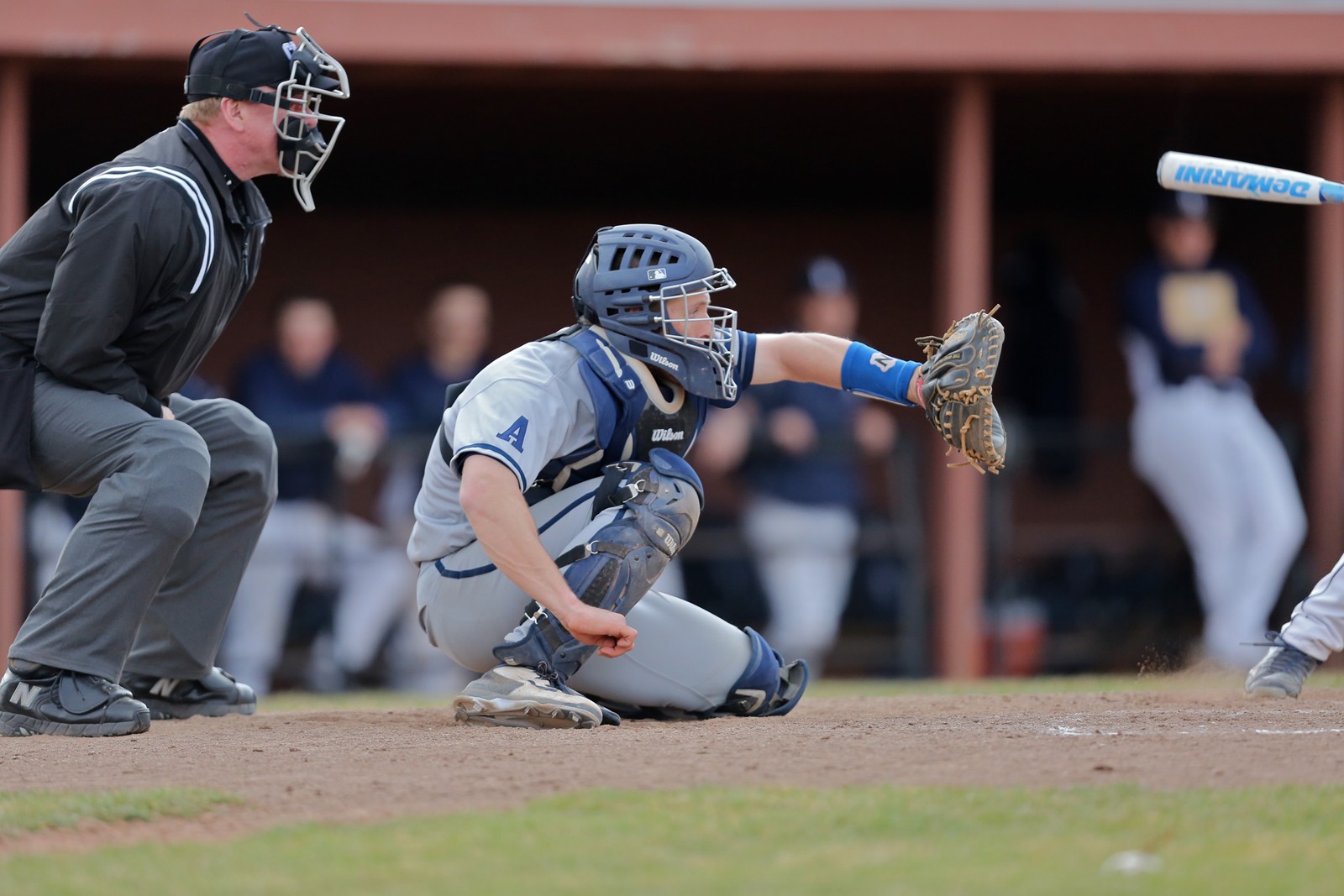 Adam Bronson - Baseball - Allegheny College Athletics