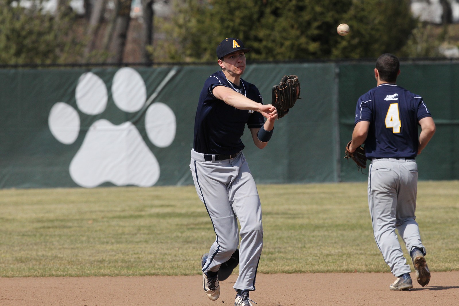 Sean Green - Baseball - Allegheny College Athletics