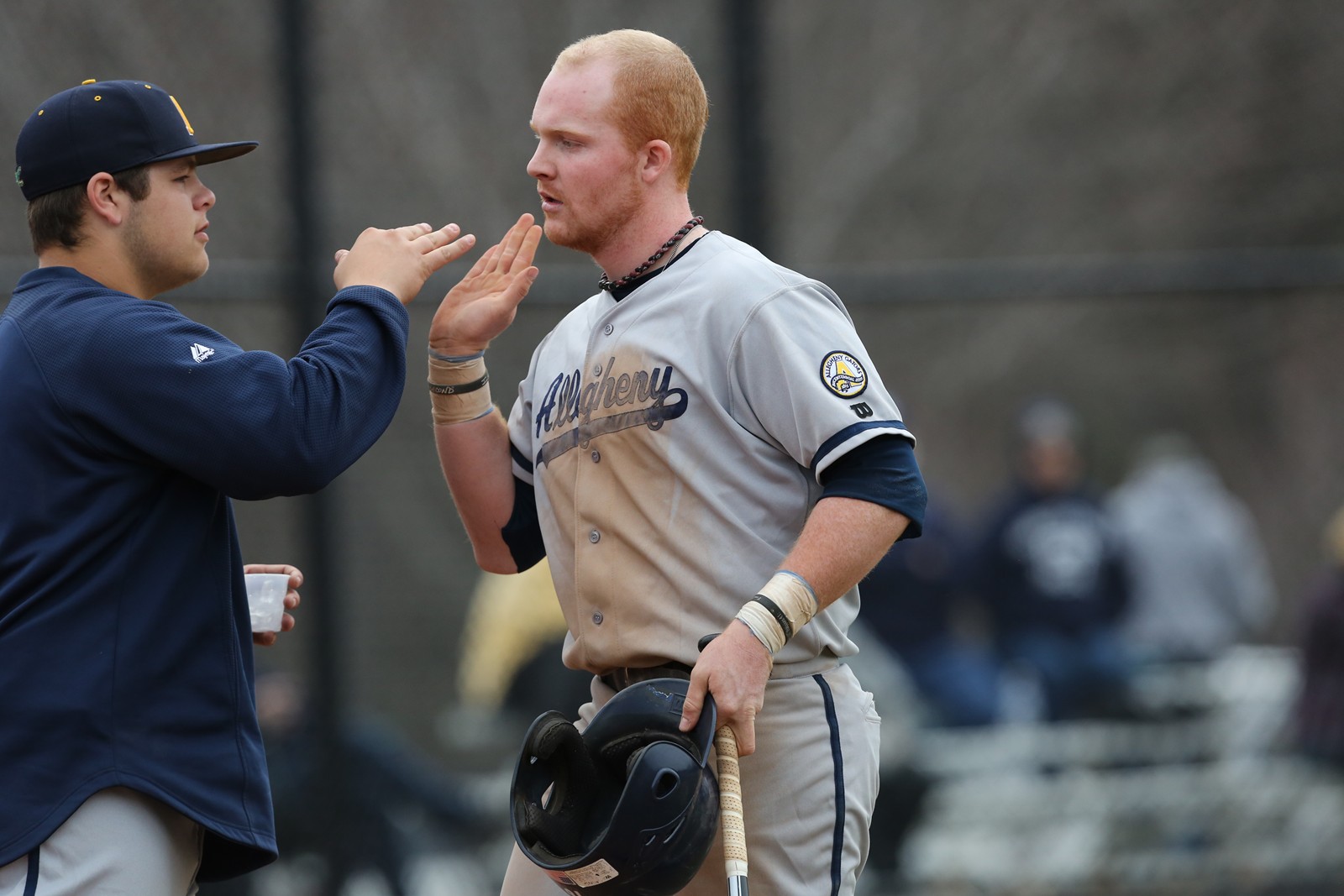 Ben Murray - Baseball - Allegheny College Athletics