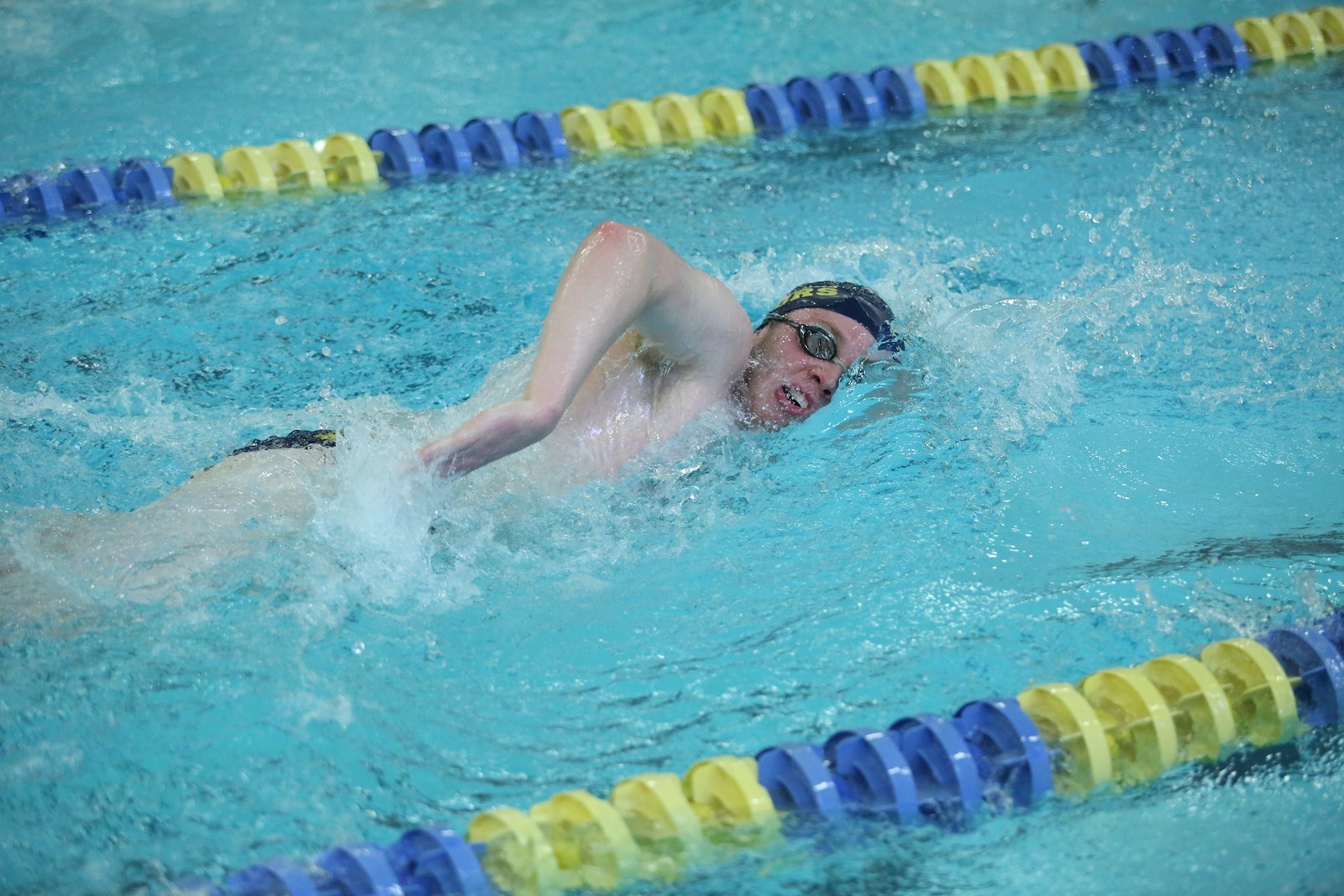 Matthew Nardozzi - Men's Swimming and Diving - Allegheny College Athletics