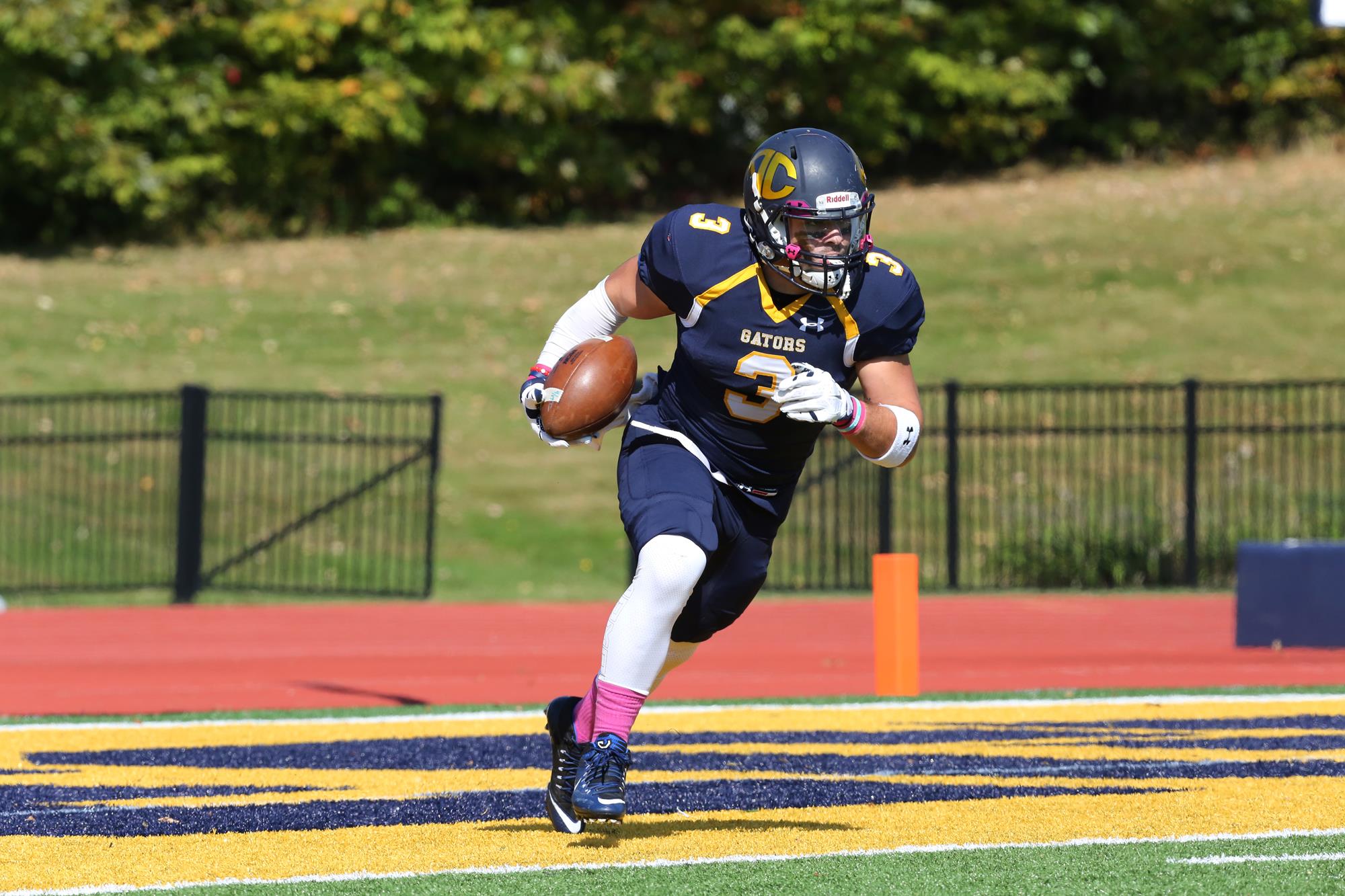 Jake Wilson - Football - Allegheny College Athletics