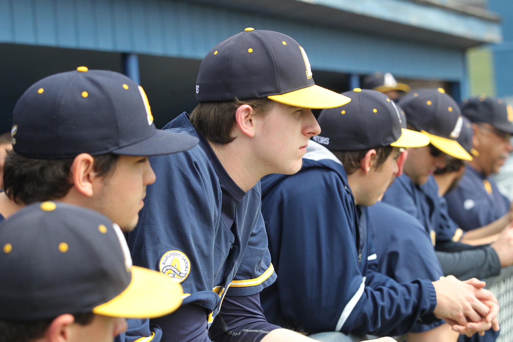 Sean Kealey - Baseball - Allegheny College Athletics