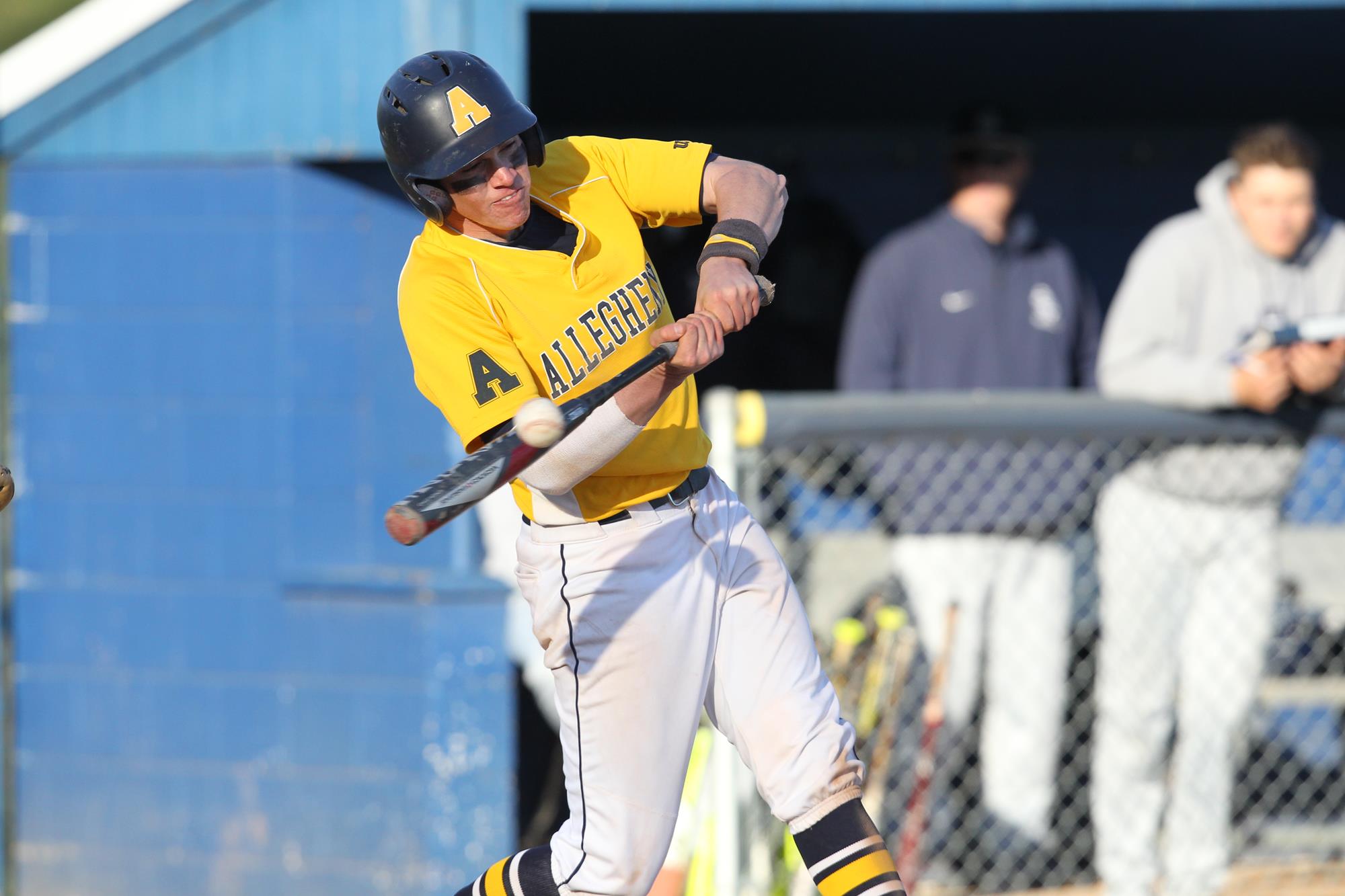 Vincent Carone - Baseball - Allegheny College Athletics