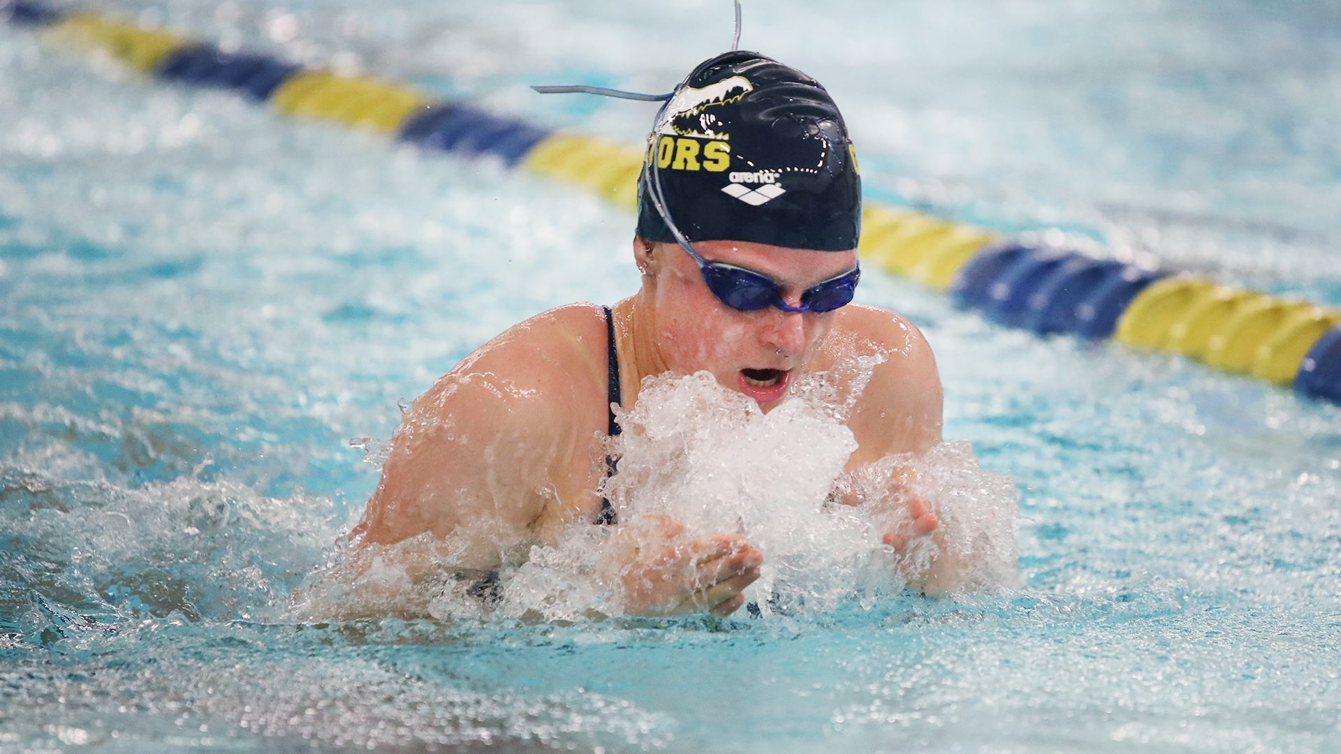 Gators sweep Bearcats - Allegheny College Athletics