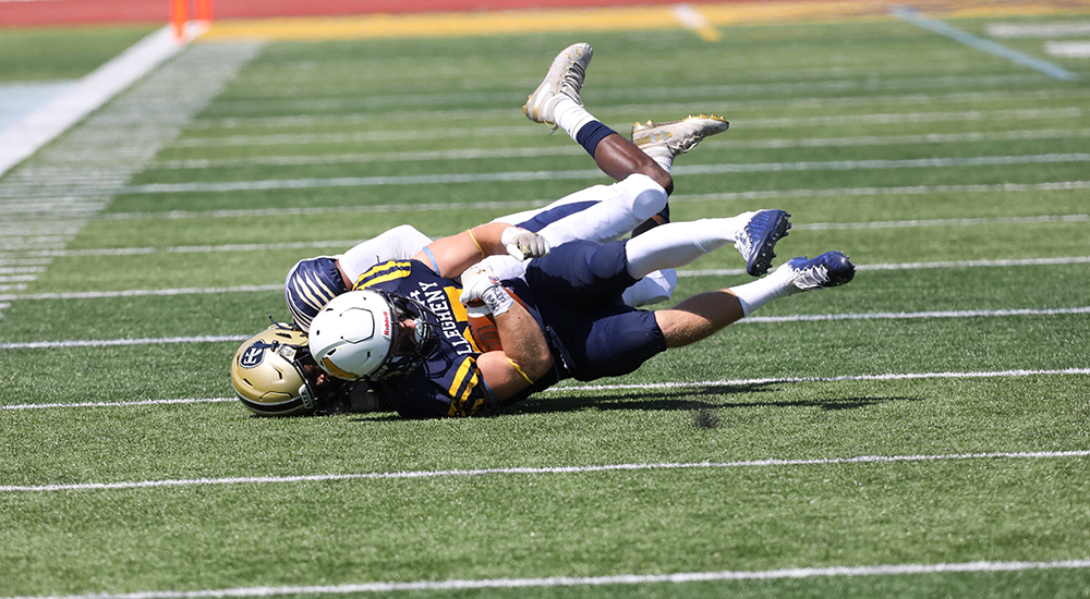 Mark Torsello - Football - Allegheny College Athletics