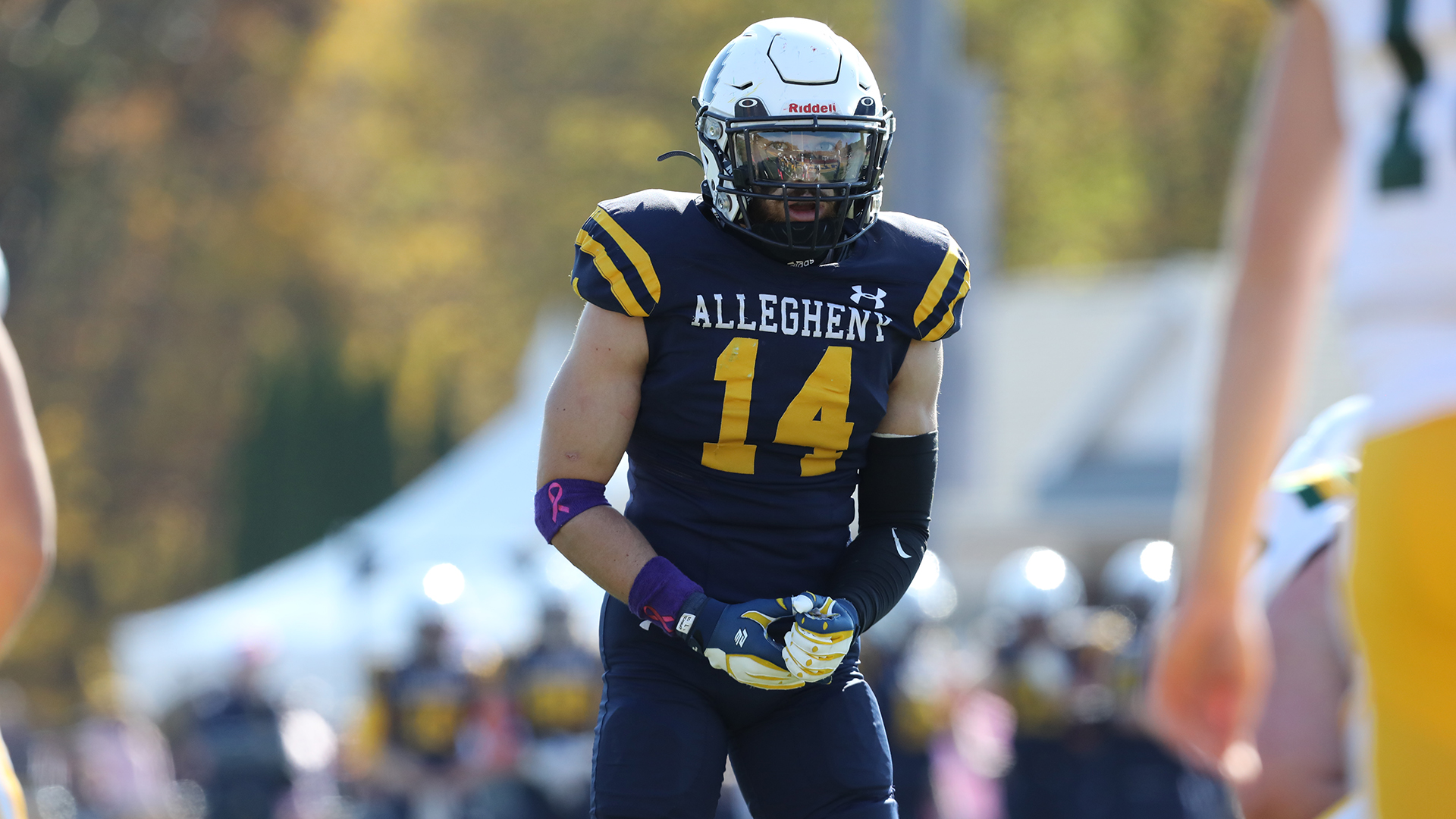 Hudson Alread - Football - Allegheny College Athletics