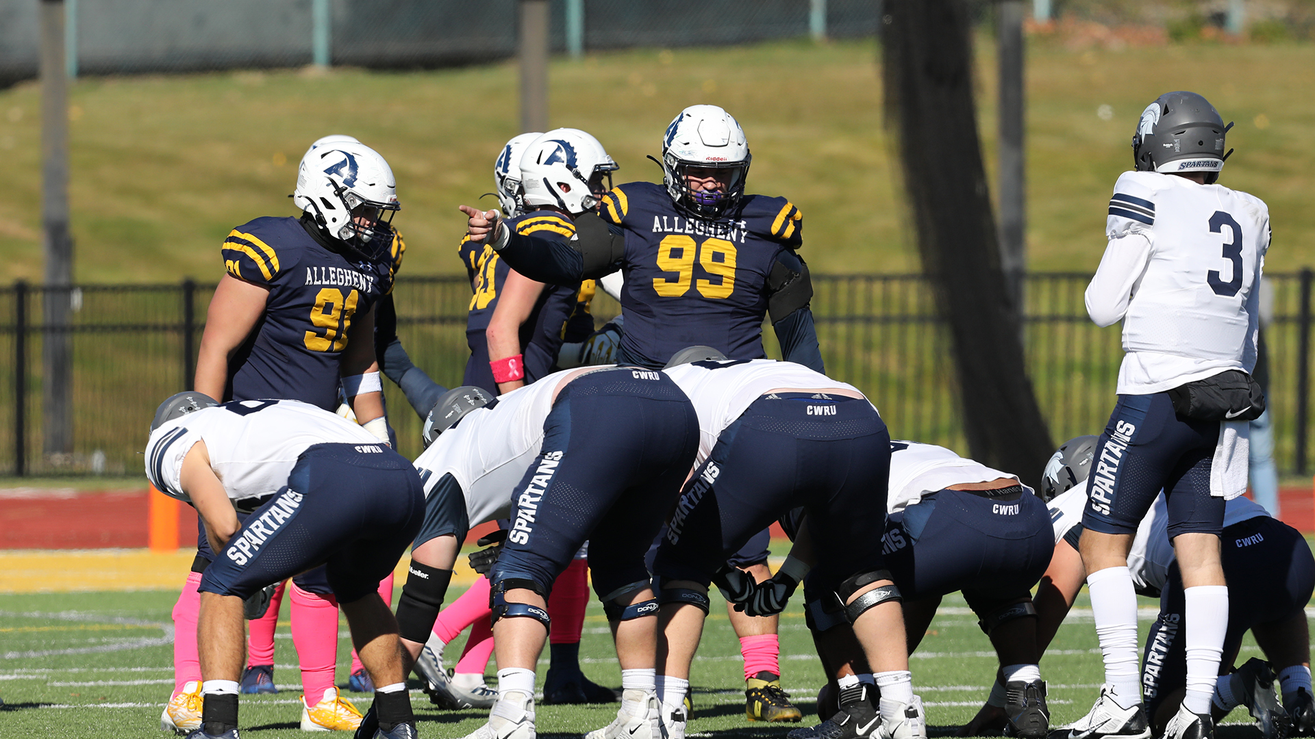 Chris Rubino - Football - Allegheny College Athletics