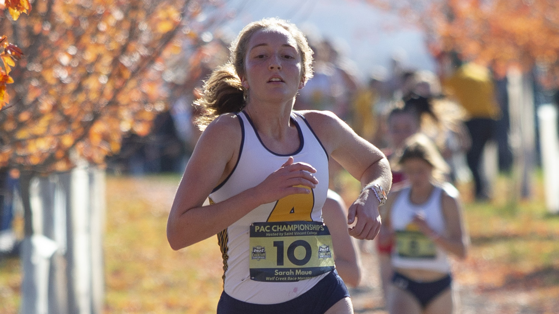 Sarah Maue - Women's Cross Country - Allegheny College Athletics