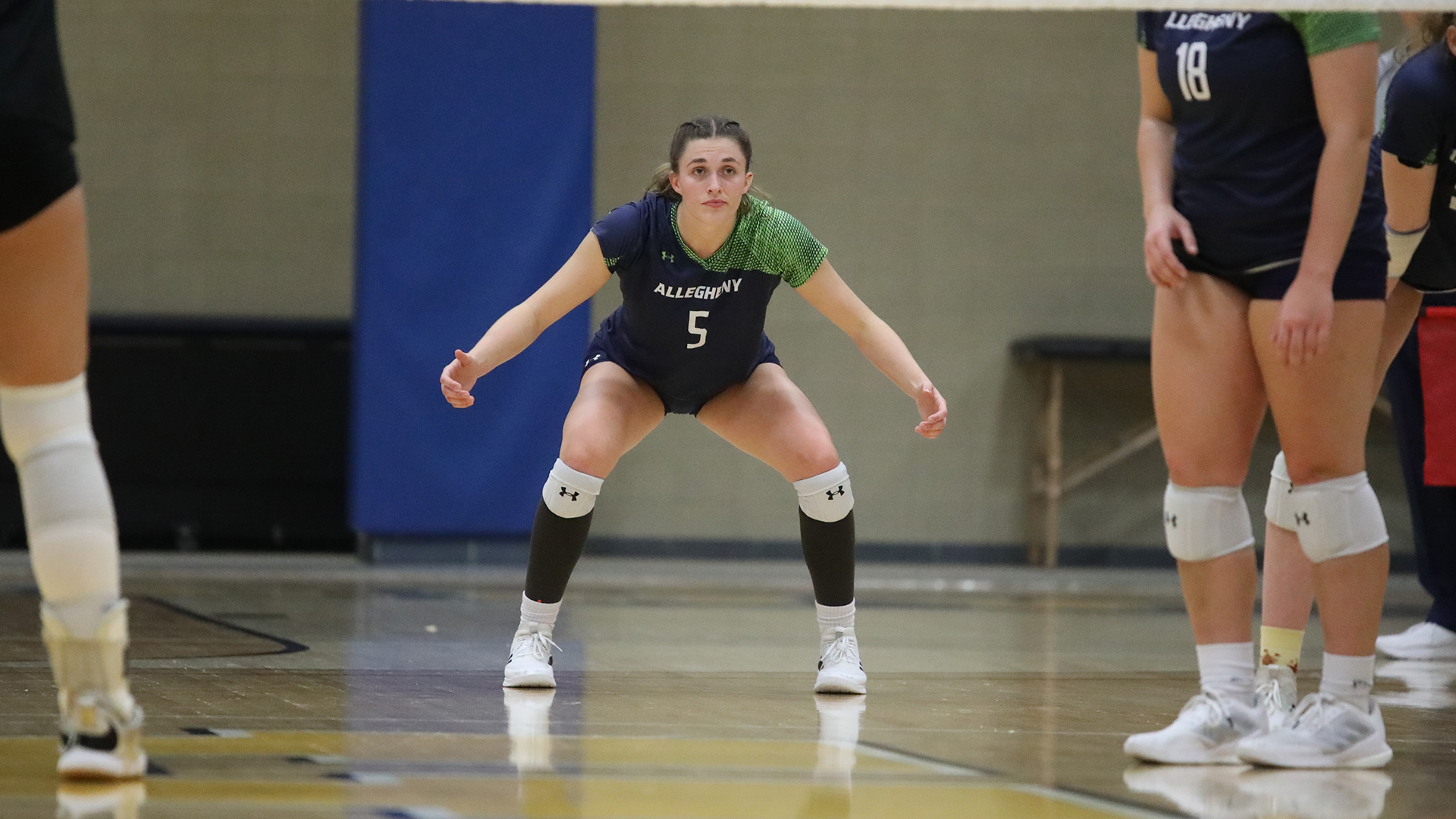 Cheyenne Wilson - Women's Volleyball - Allegheny College Athletics