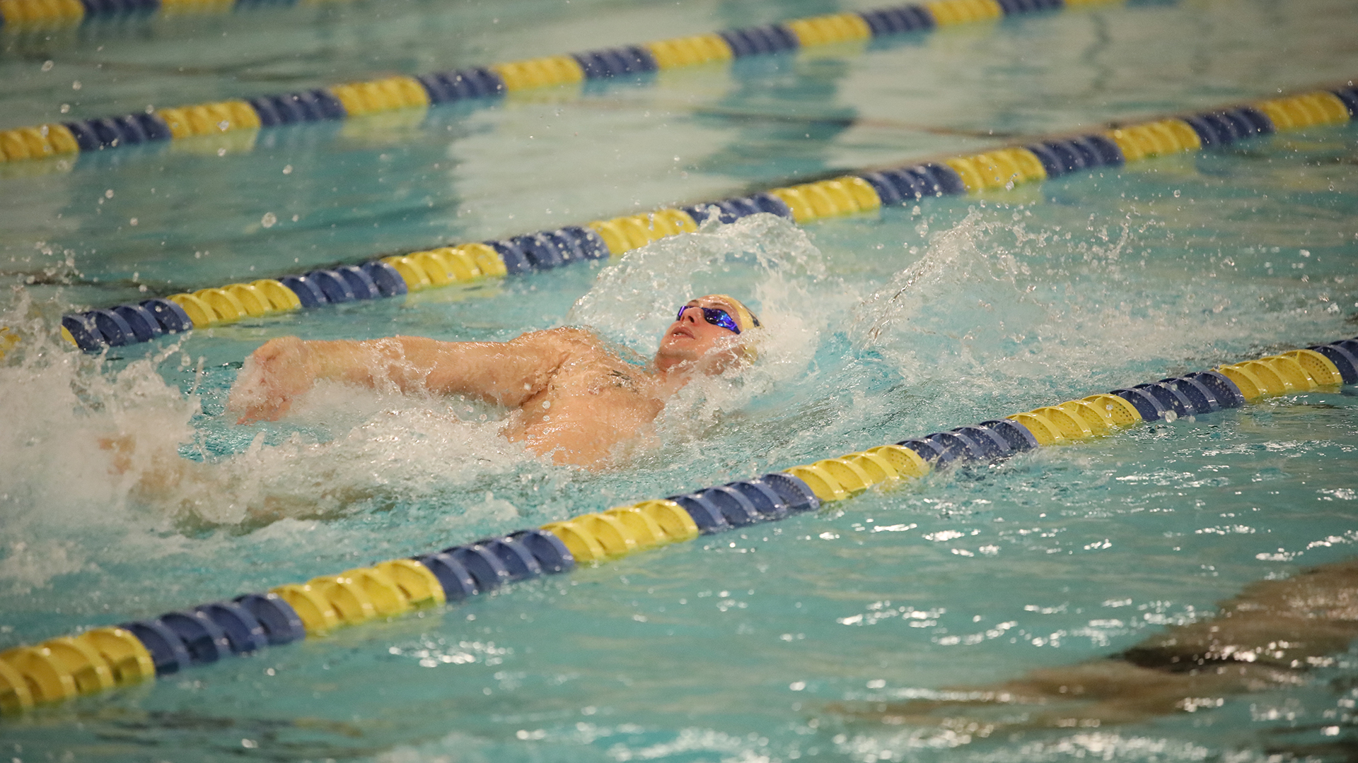 Daniel Jackson - Men's Swimming and Diving - Allegheny College Athletics