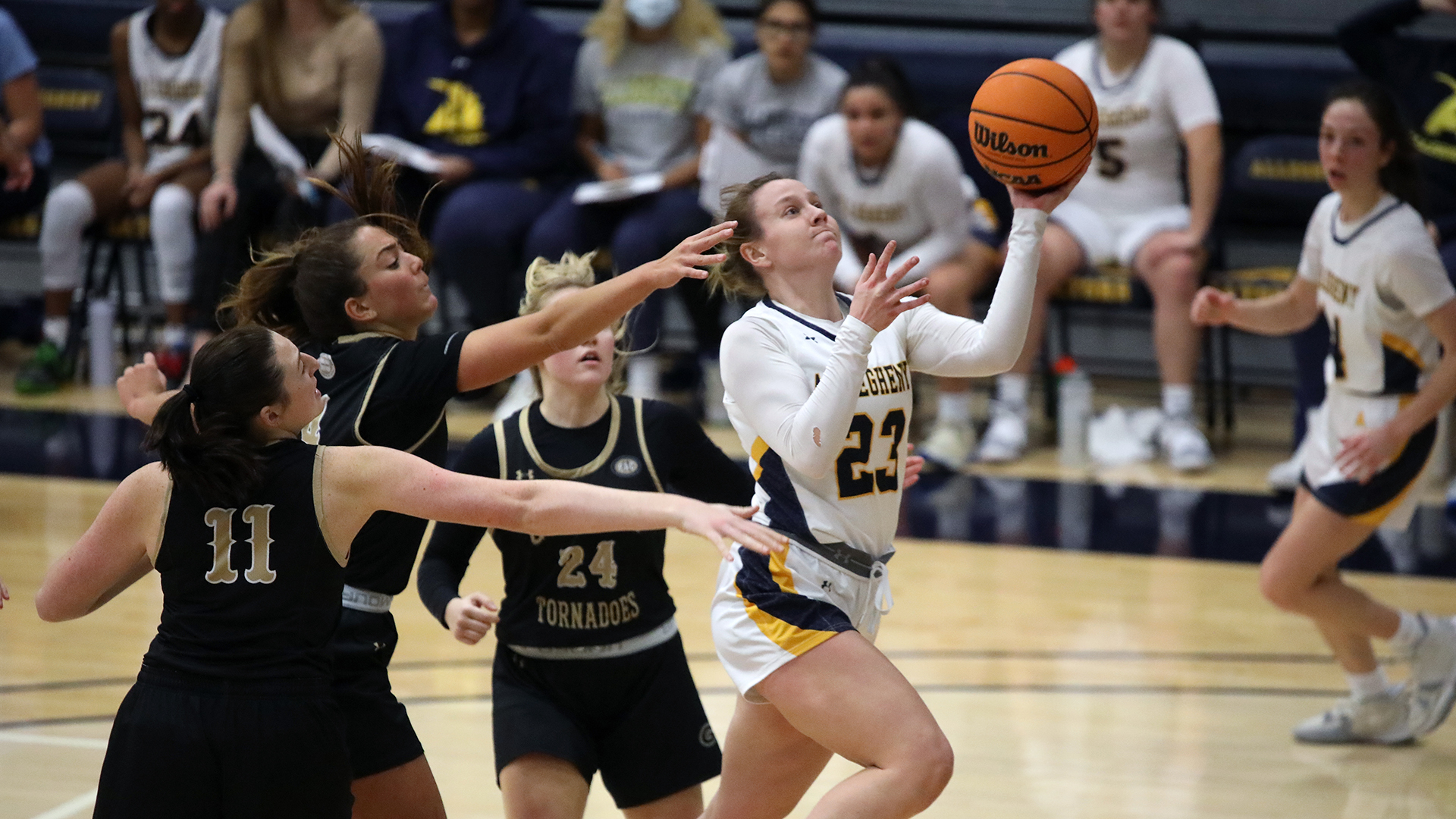 Bella Wier - Women's Basketball - Allegheny College Athletics