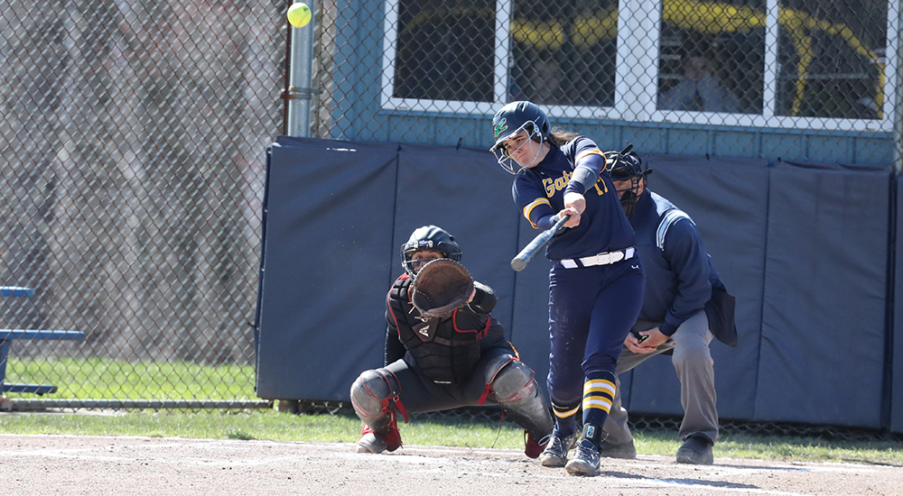 Gators take two from Tigers - Allegheny College Athletics