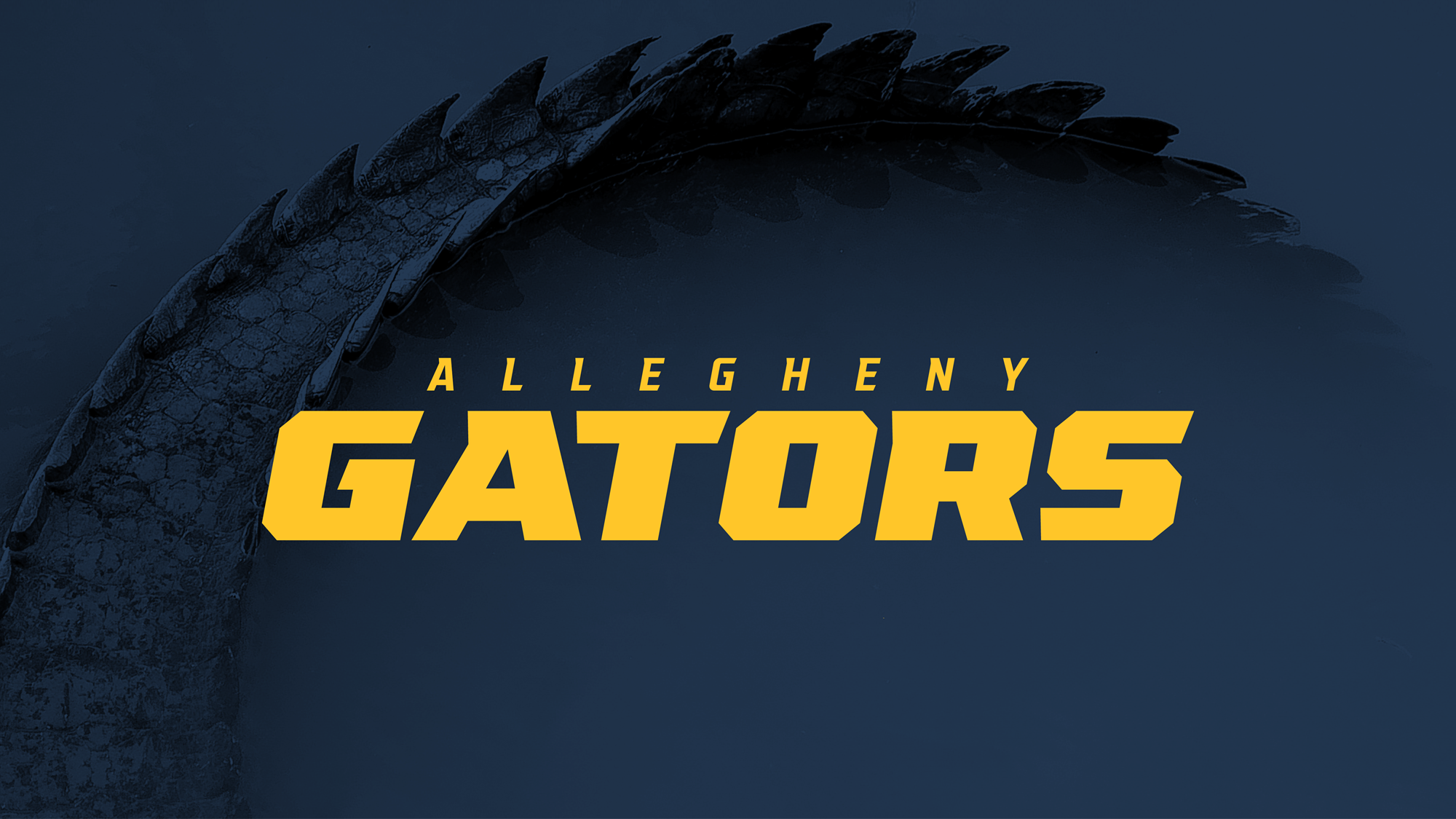 Allegheny reveals new athletics brand identity - Allegheny College ...